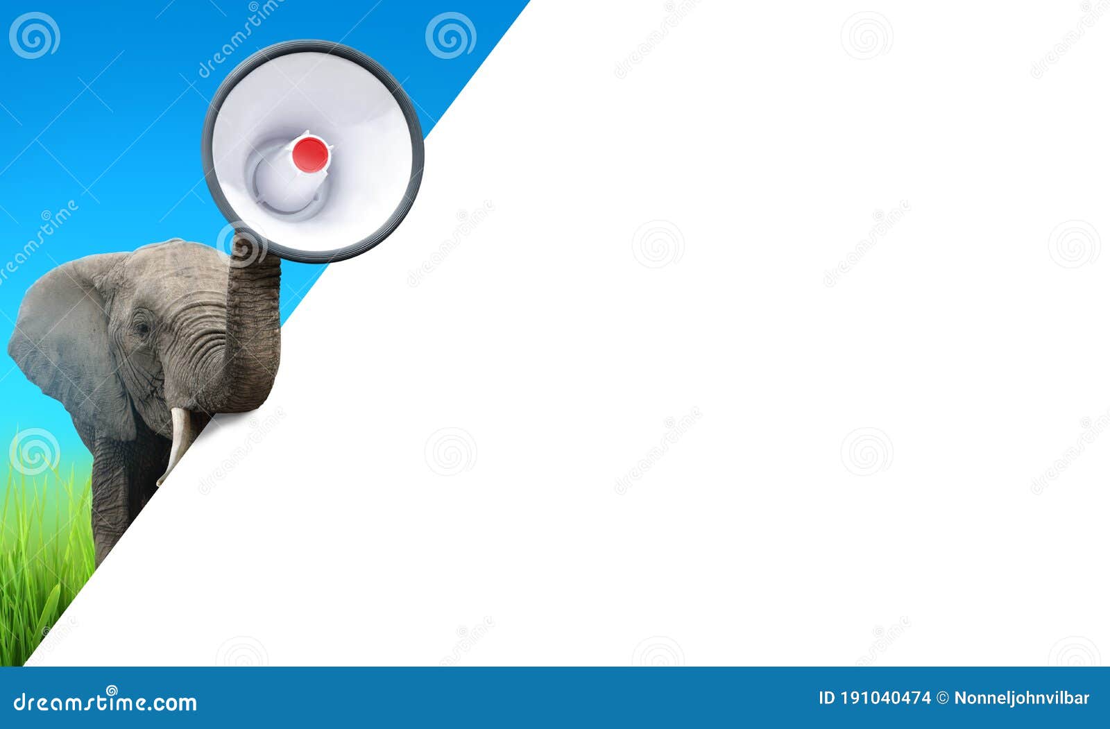Elephant Trumpeting with a Megaphone Stock Photo - Image of animal ...