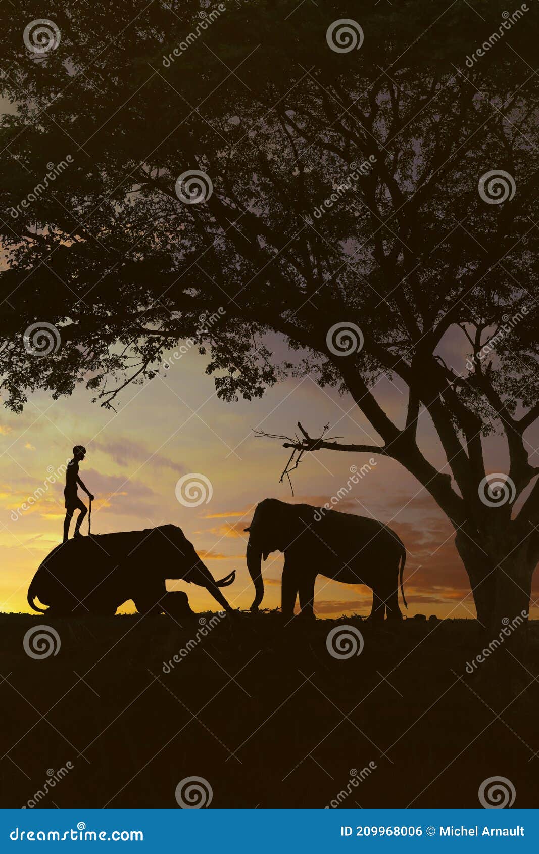 Elephant Under a Tree in the Savannah Stock Photo - Image of outdoor ...