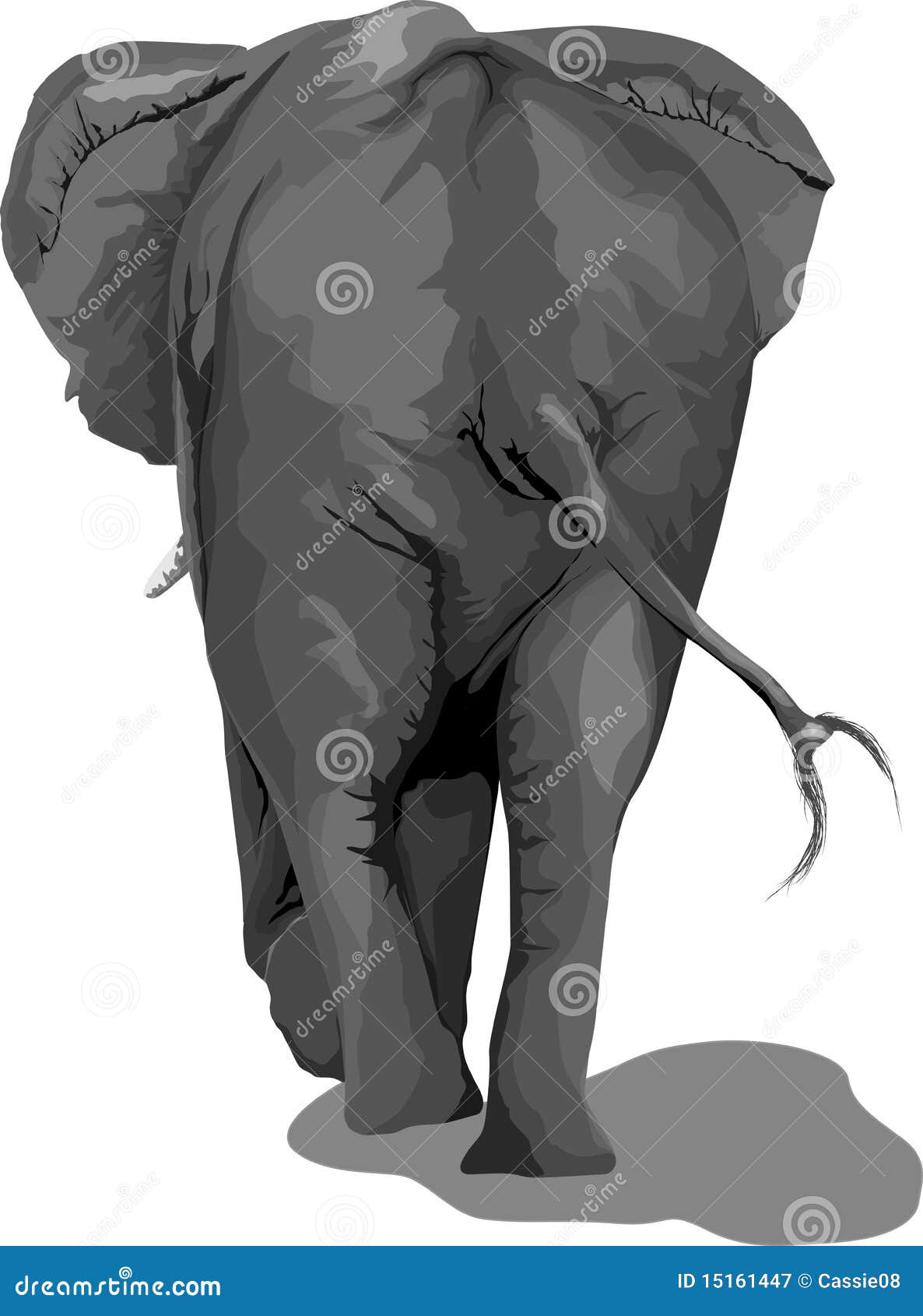 Elephant Back View Drawing