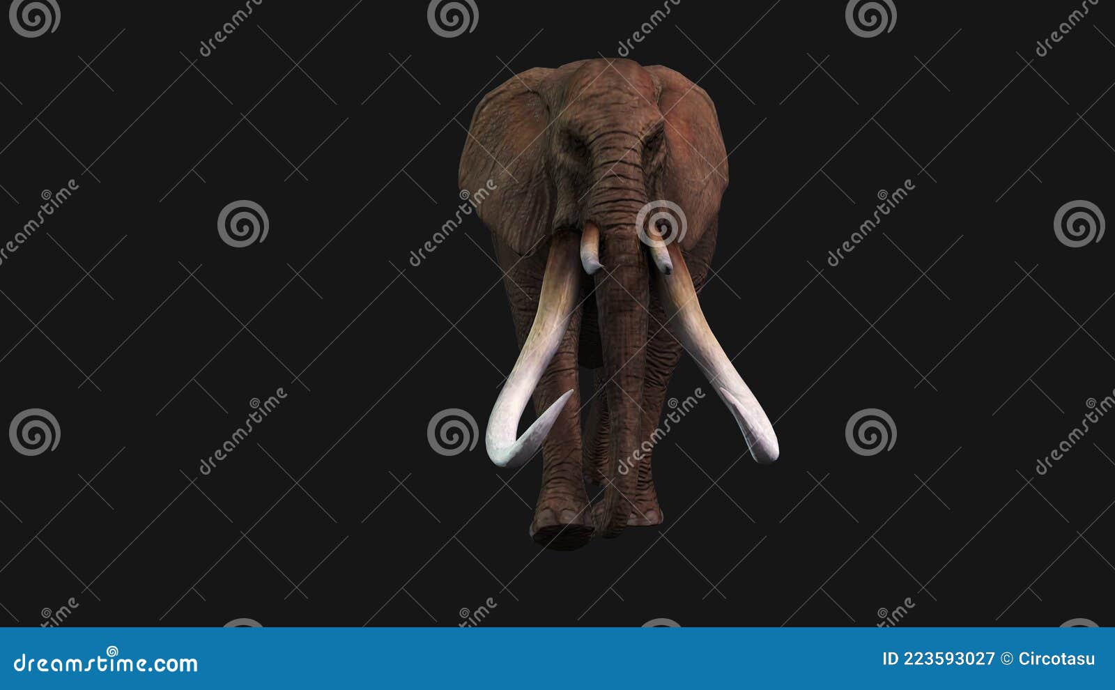 Elephant Walking, Front View Seamless Loop, Alpha Channel Stock Video ...