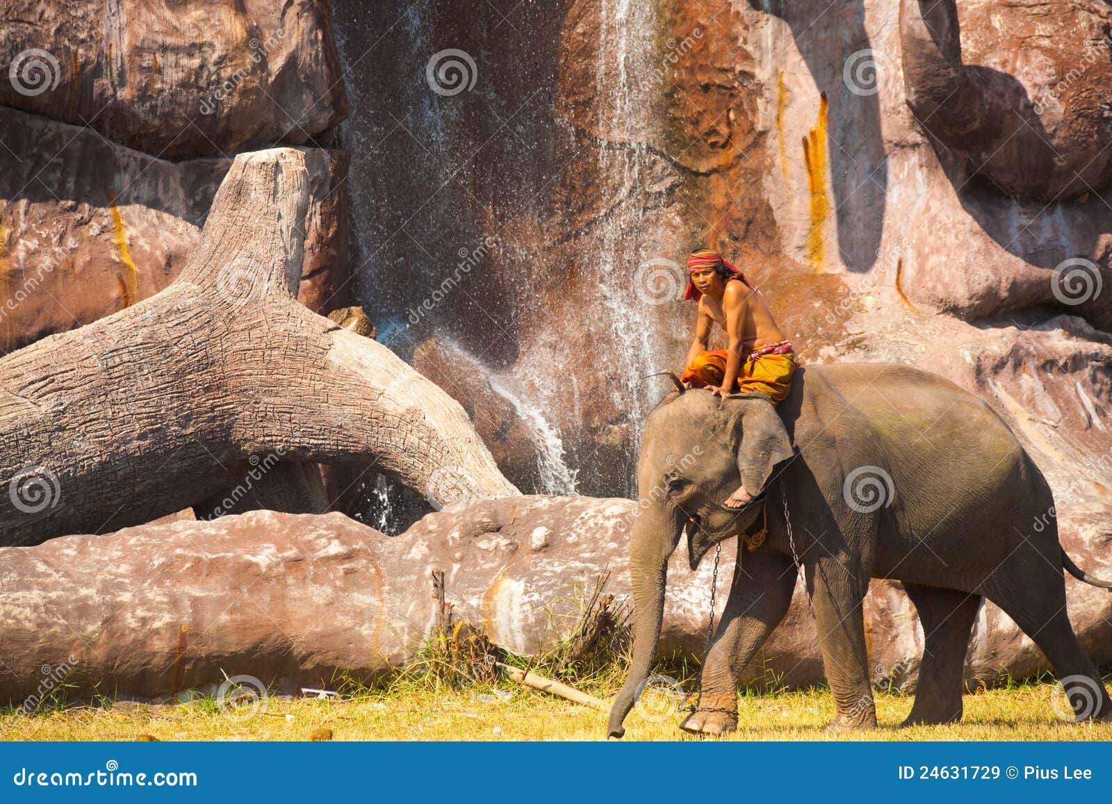Elephant Walking Scenic Waterfall Cliff Editorial Stock Image - Image ...