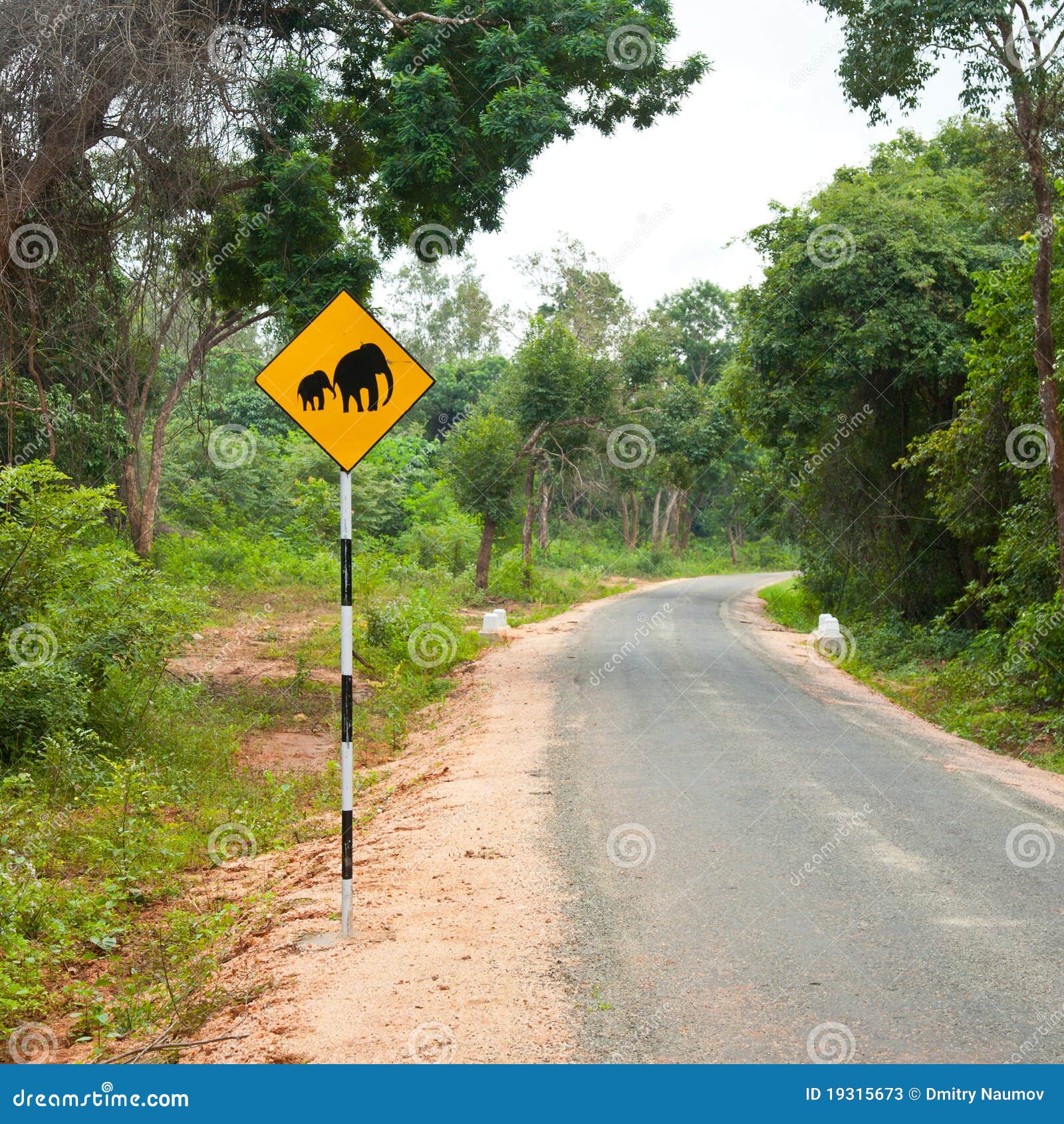 Elephant warning sign stock image. Image of jungle, beware - 19315673