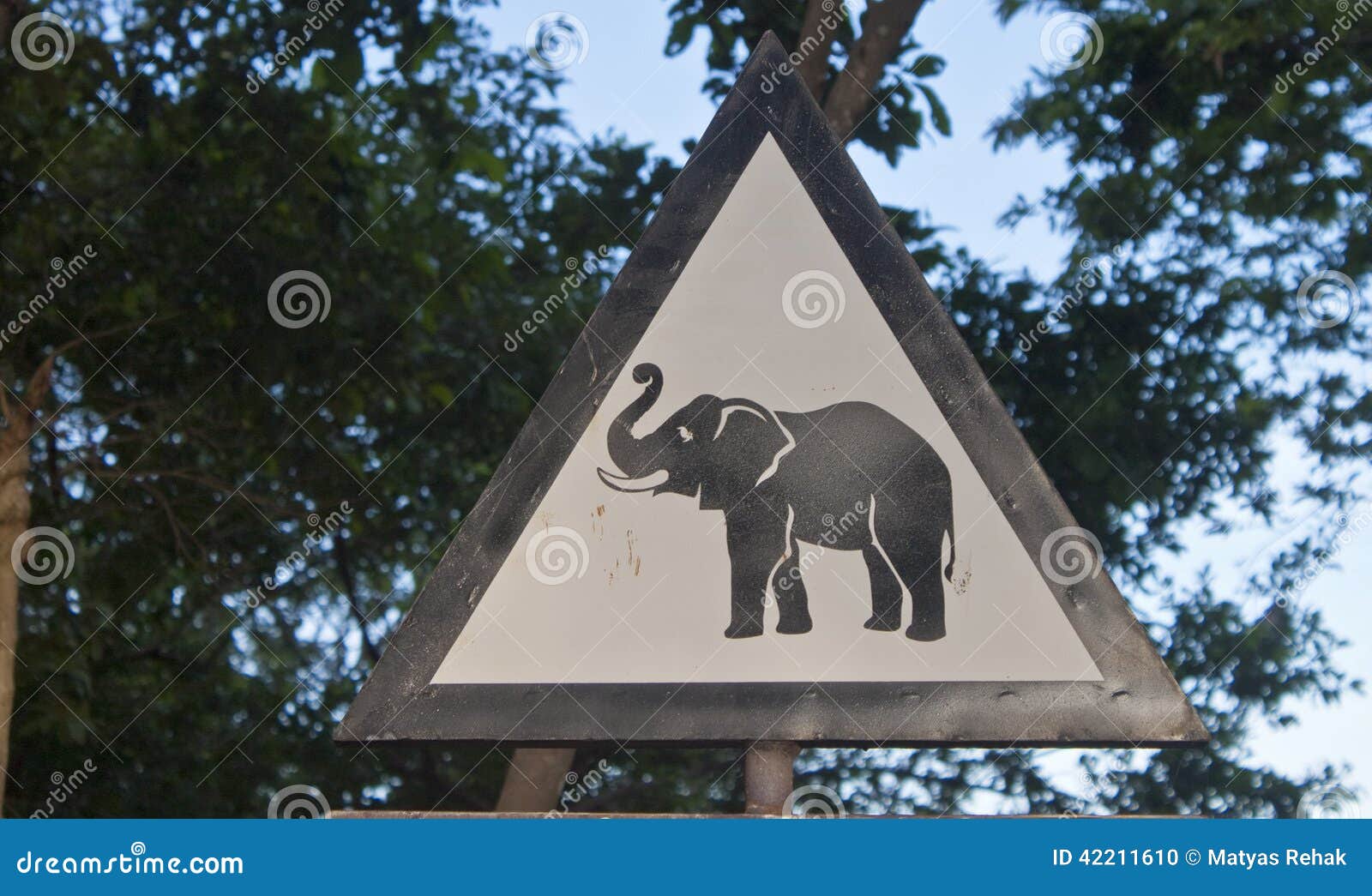 Elephant Warning Sign Royalty-Free Stock Photography | CartoonDealer ...