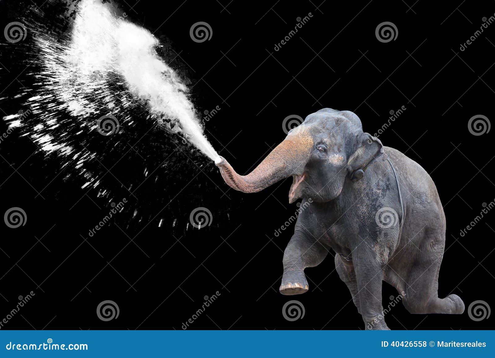 Elephant Water Splash Royalty-Free Stock Photography | CartoonDealer ...
