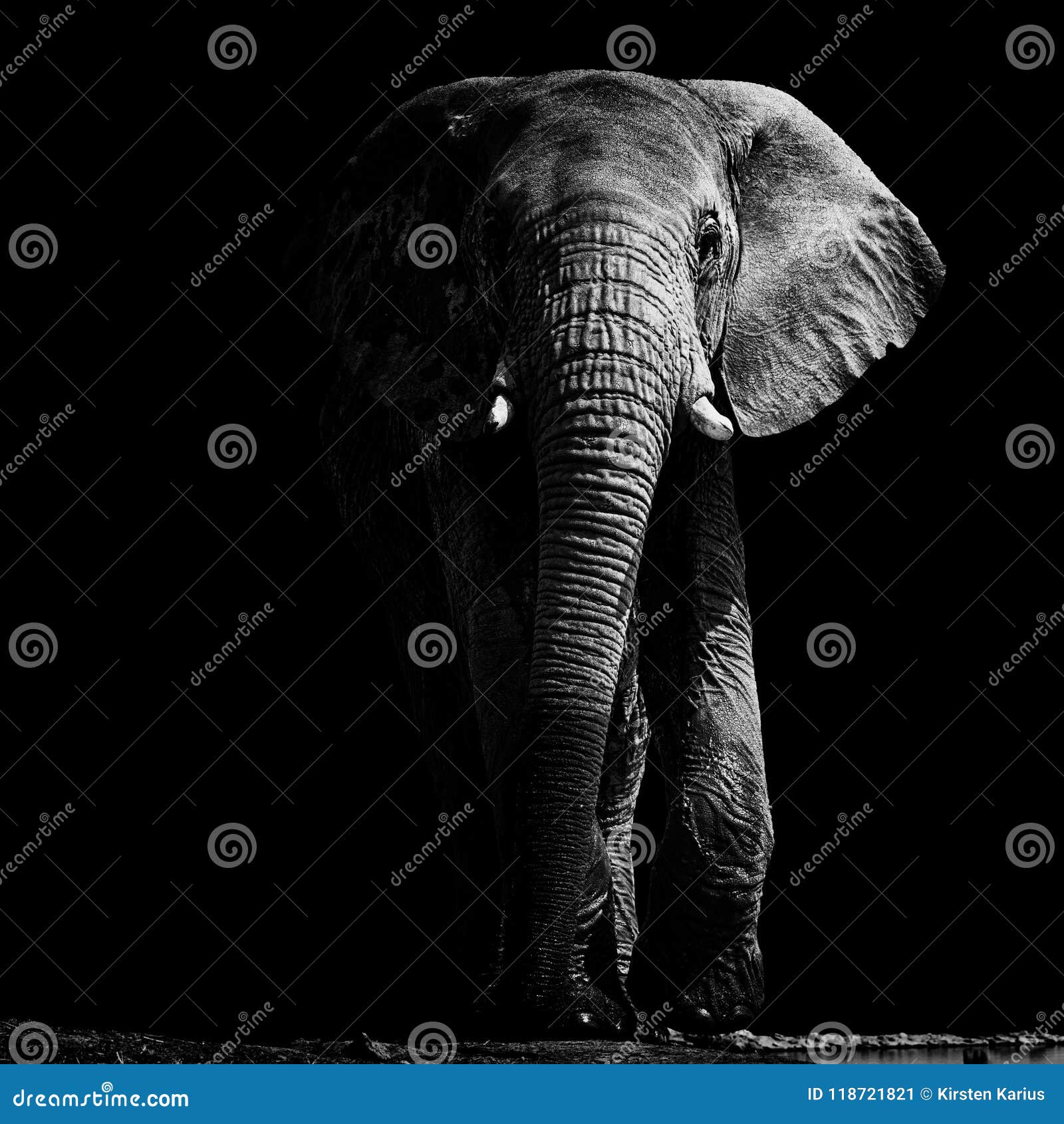 Eye Level View Photography