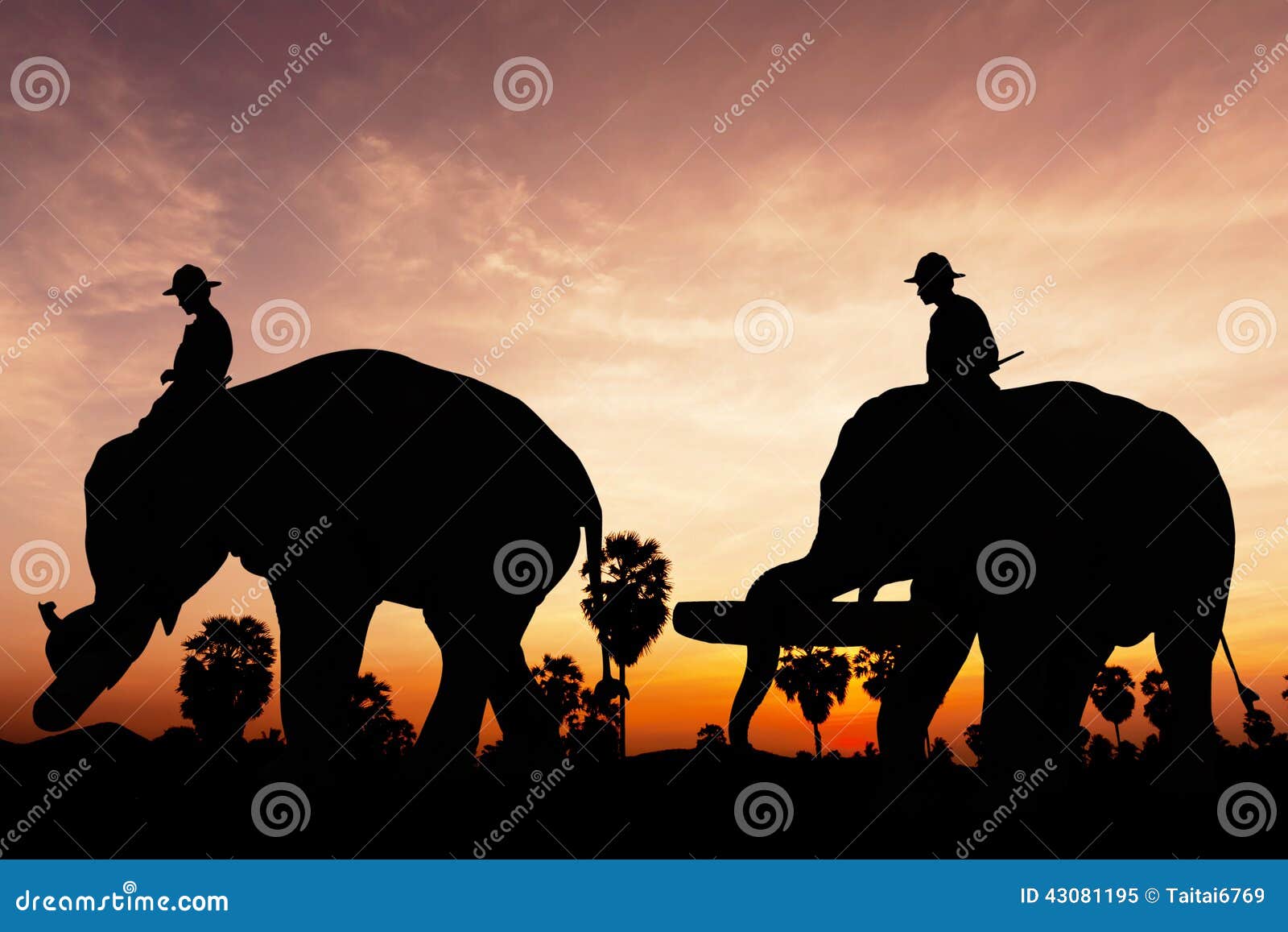 Elephant Work on Twilight Time Stock Image - Image of elephant, safari ...