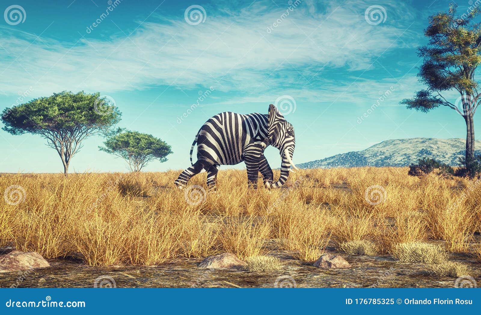 Surreal Zebra Rat Royalty-Free Stock Image | CartoonDealer.com #14554540