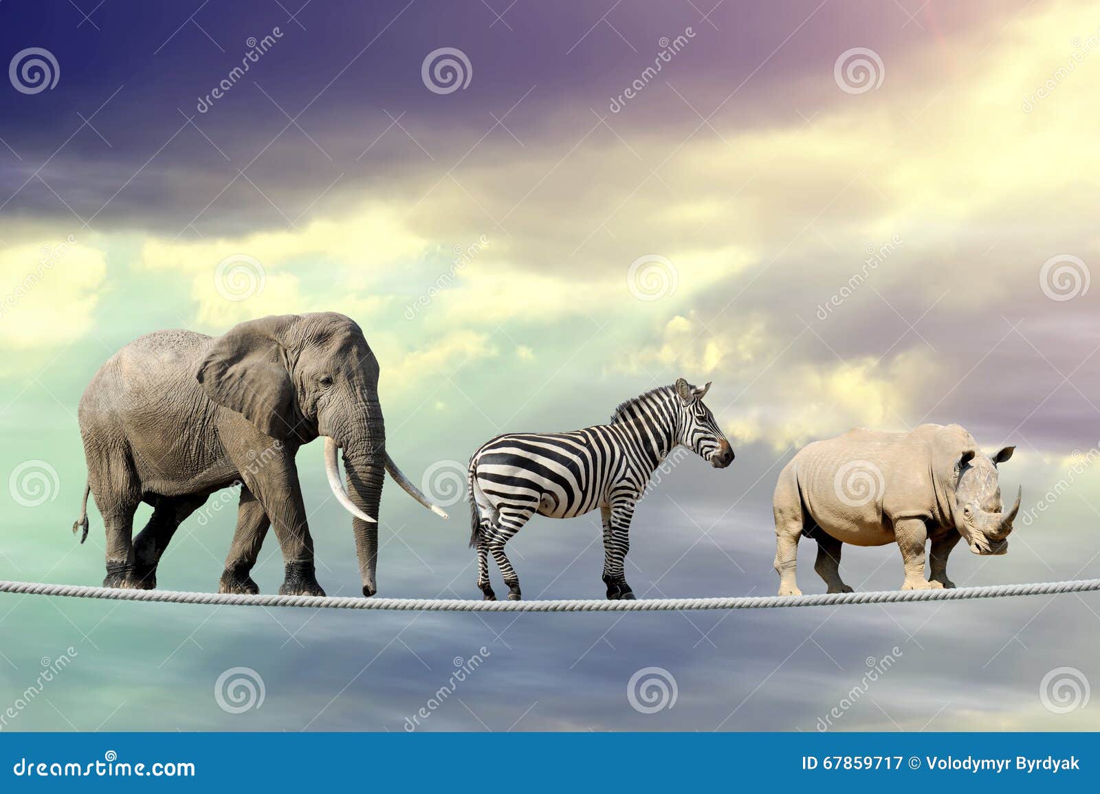 Elephant And Zebra In Zoo Safari Park,Villahermosa,Tabasco,Mexico ...