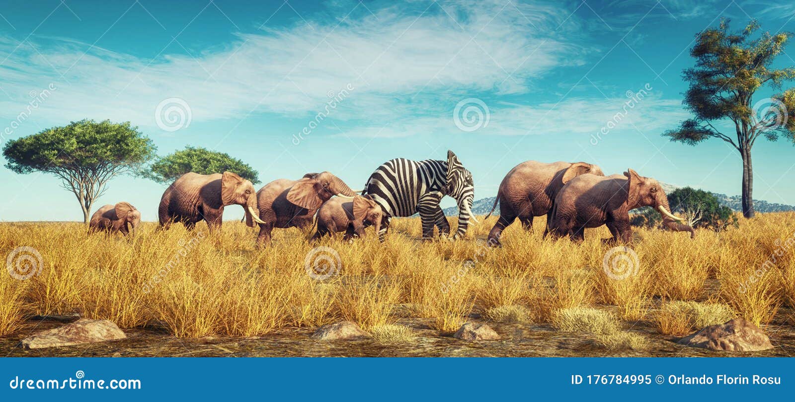 Elephant zebra different stock illustration. Illustration of landscape ...