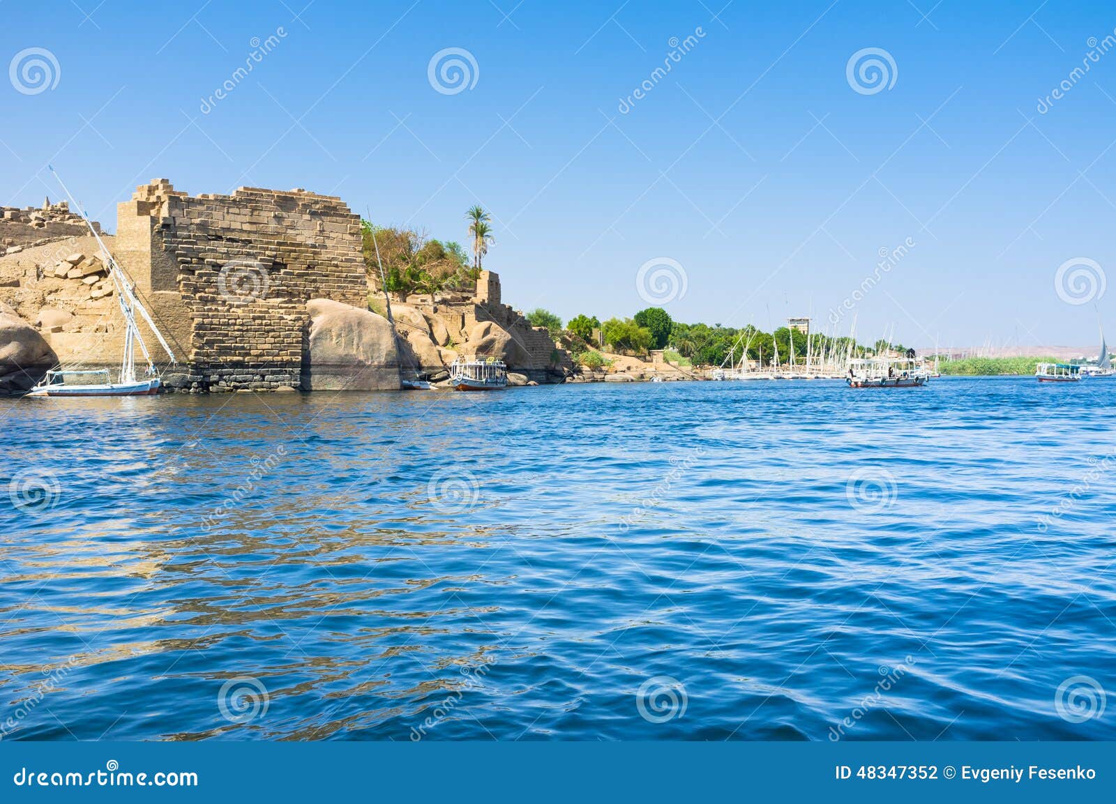 Elephantine Island stock photo. Image of island, plant - 48347352