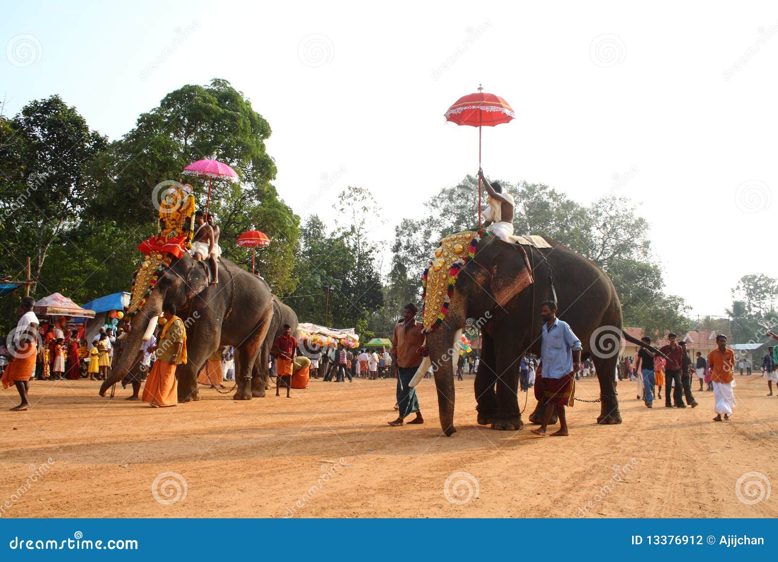 Elephants in Festival. editorial photography. Image of festive - 13376912