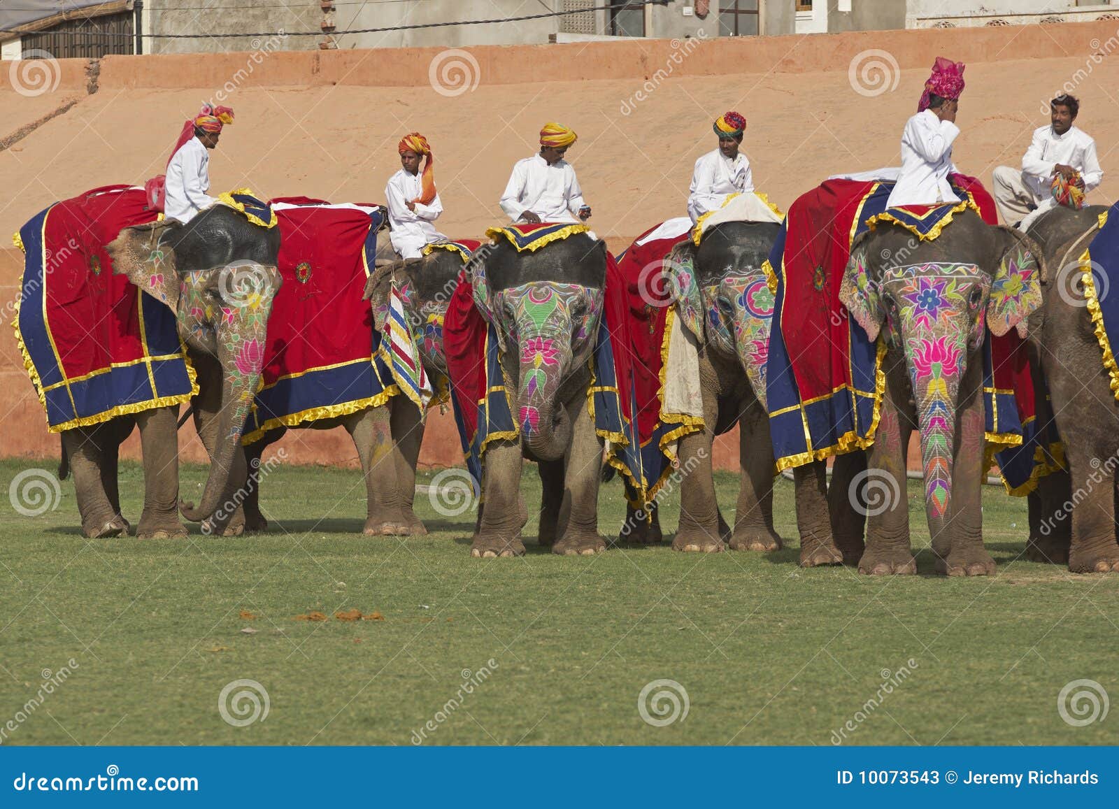 Elephants on Parade editorial stock photo. Image of domesticated - 10073543
