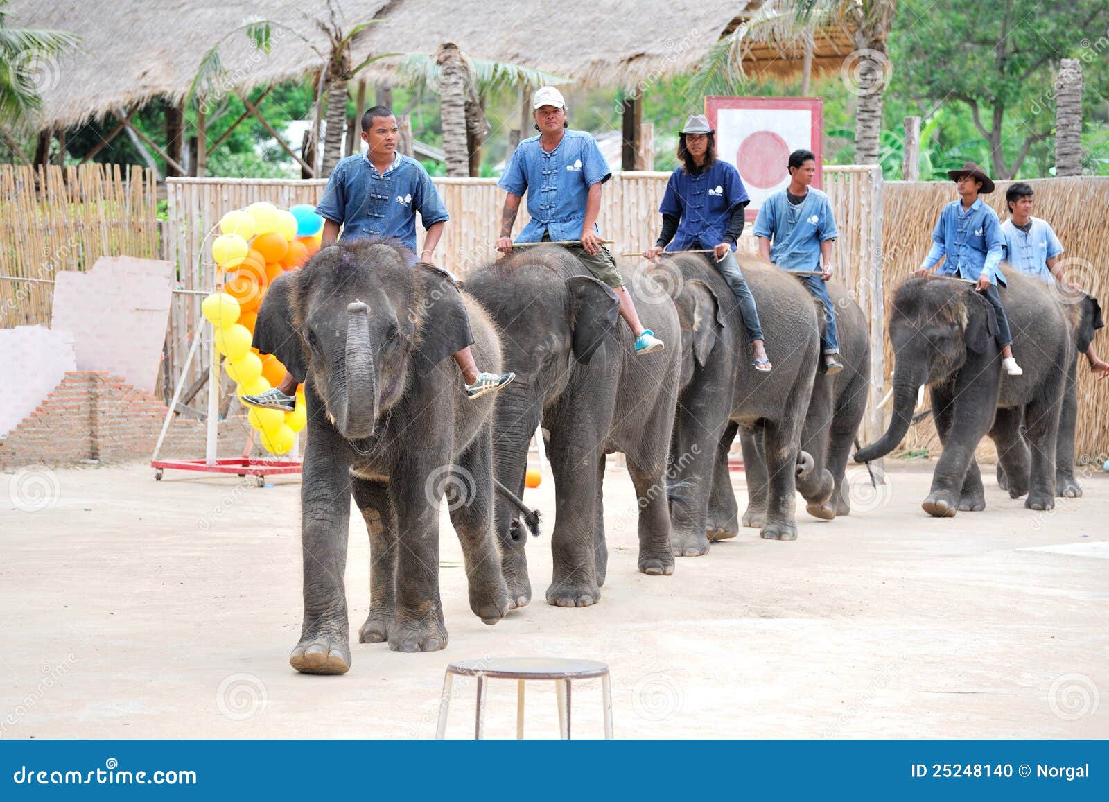 Elephants parade editorial image. Image of show, talent - 25248140