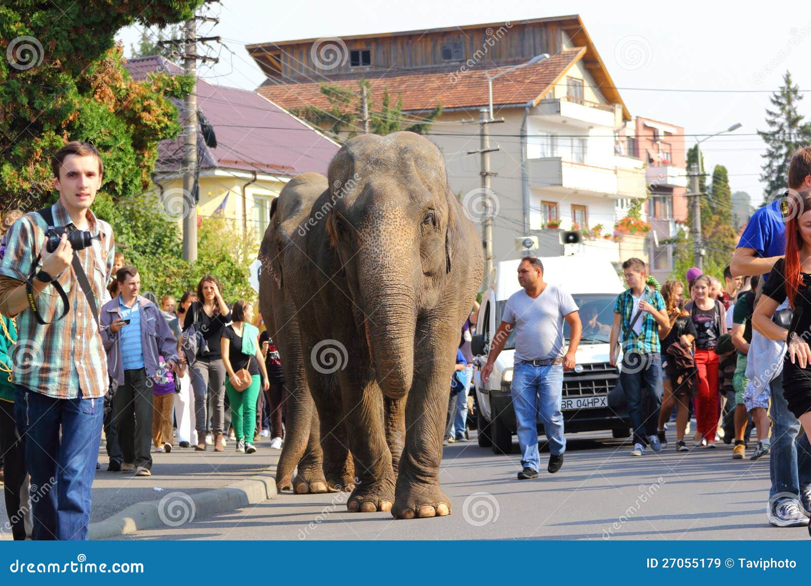 Elephants parade editorial stock image. Image of attraction - 27055179