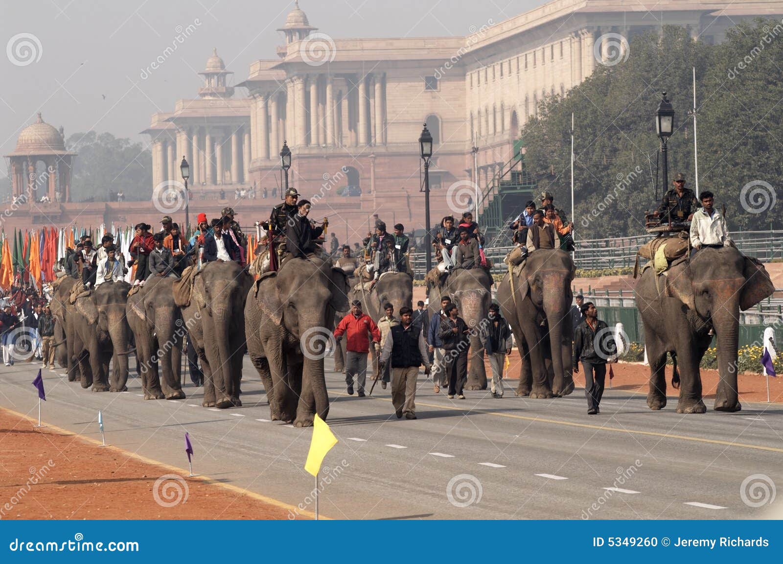 Elephants on Parade editorial image. Image of india, capital - 5349260