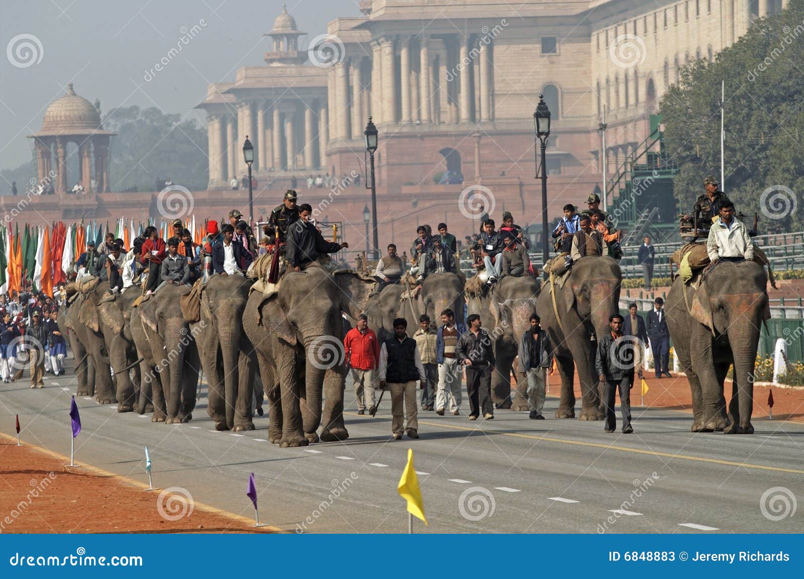 Elephants on Parade editorial stock photo. Image of republic - 6848883