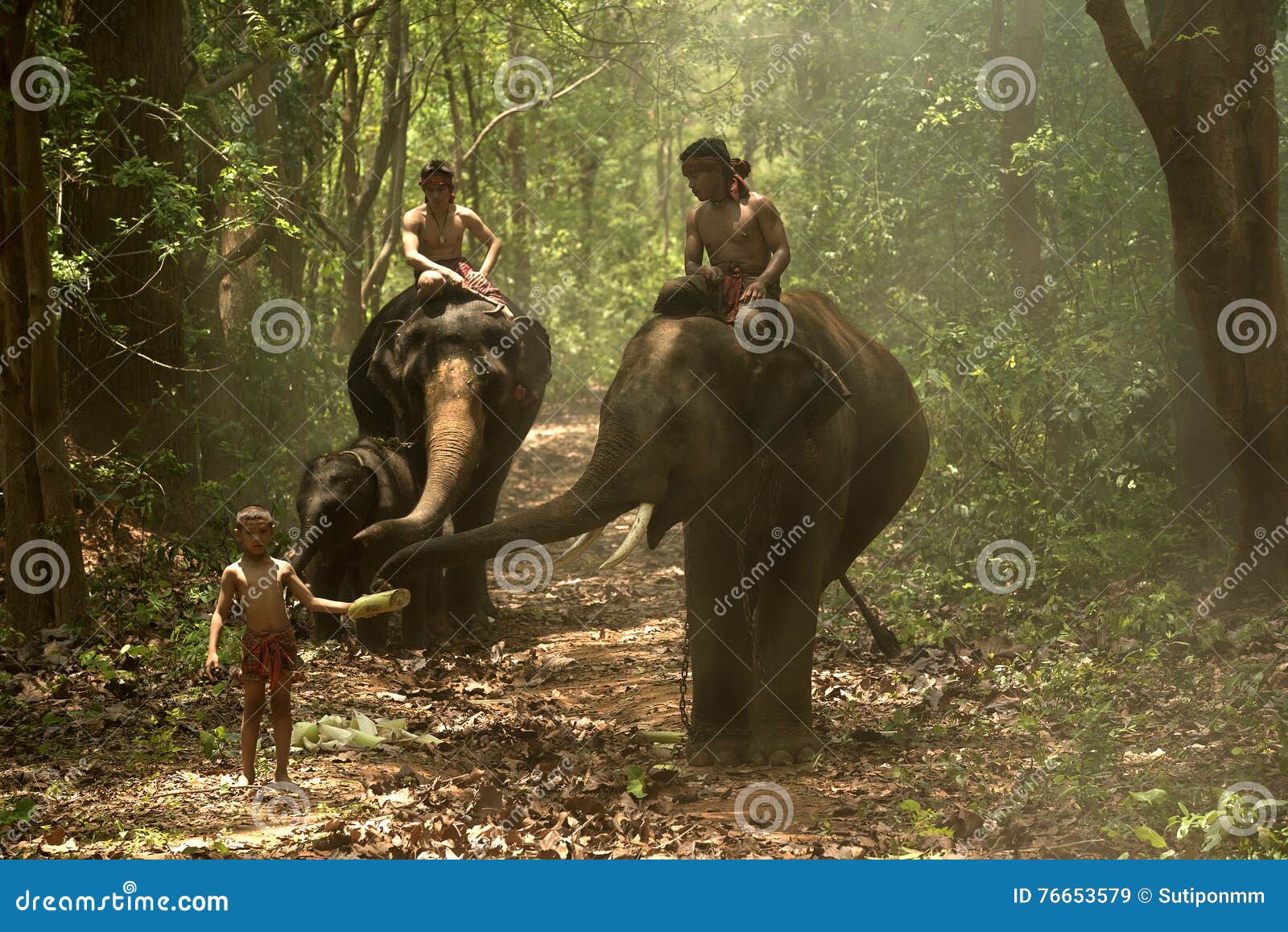 Elephants with people stock image. Image of national - 76653579