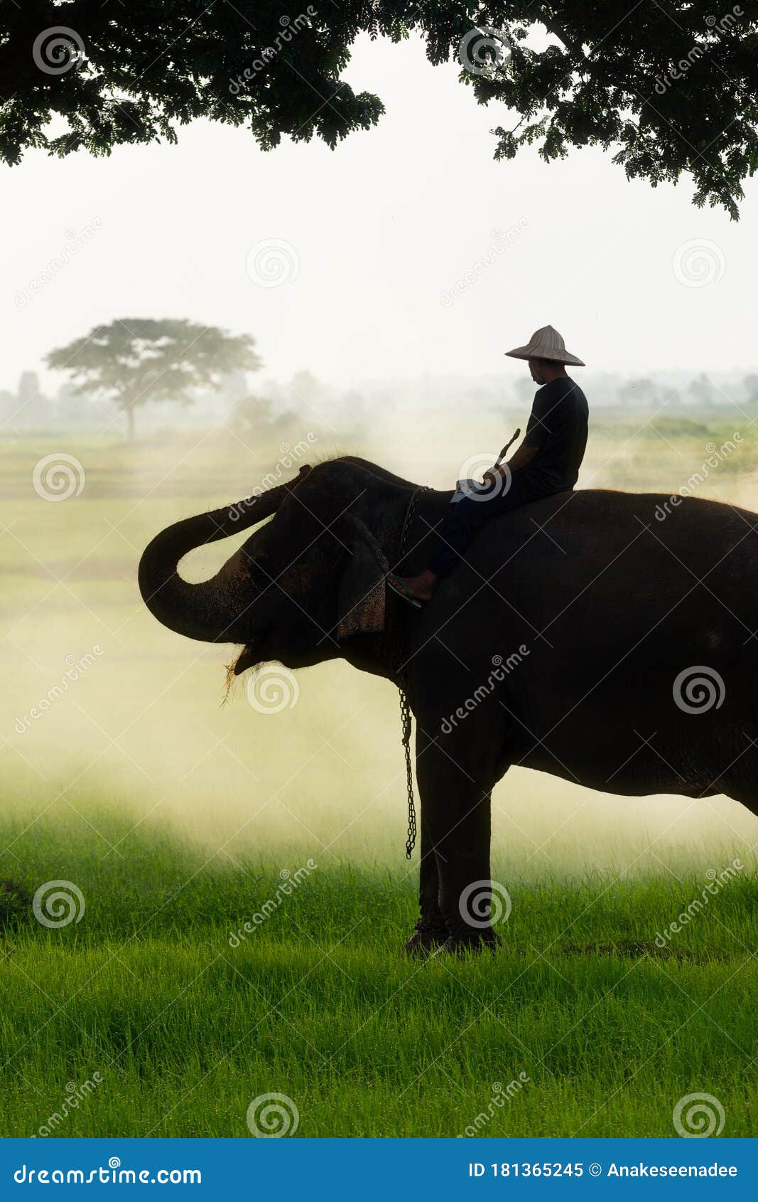 People Raising Signs Editorial Image | CartoonDealer.com #52778062