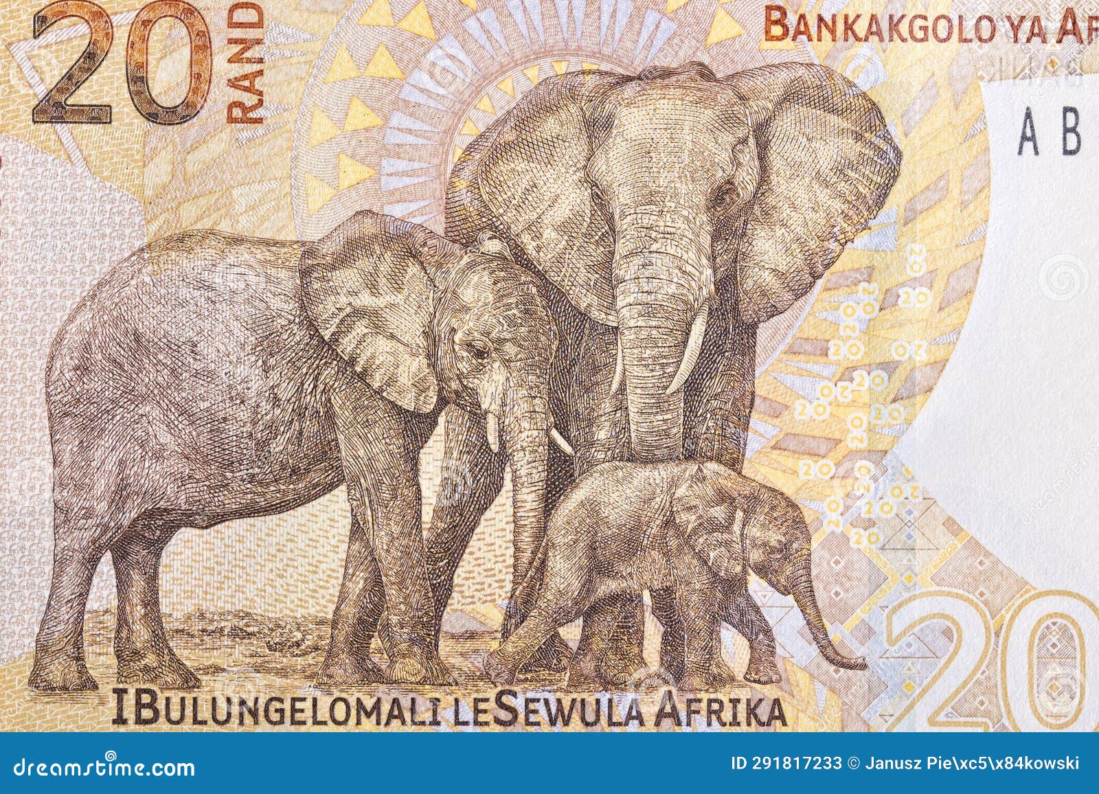 Elephants from South African Rand Stock Image - Image of wildlife ...
