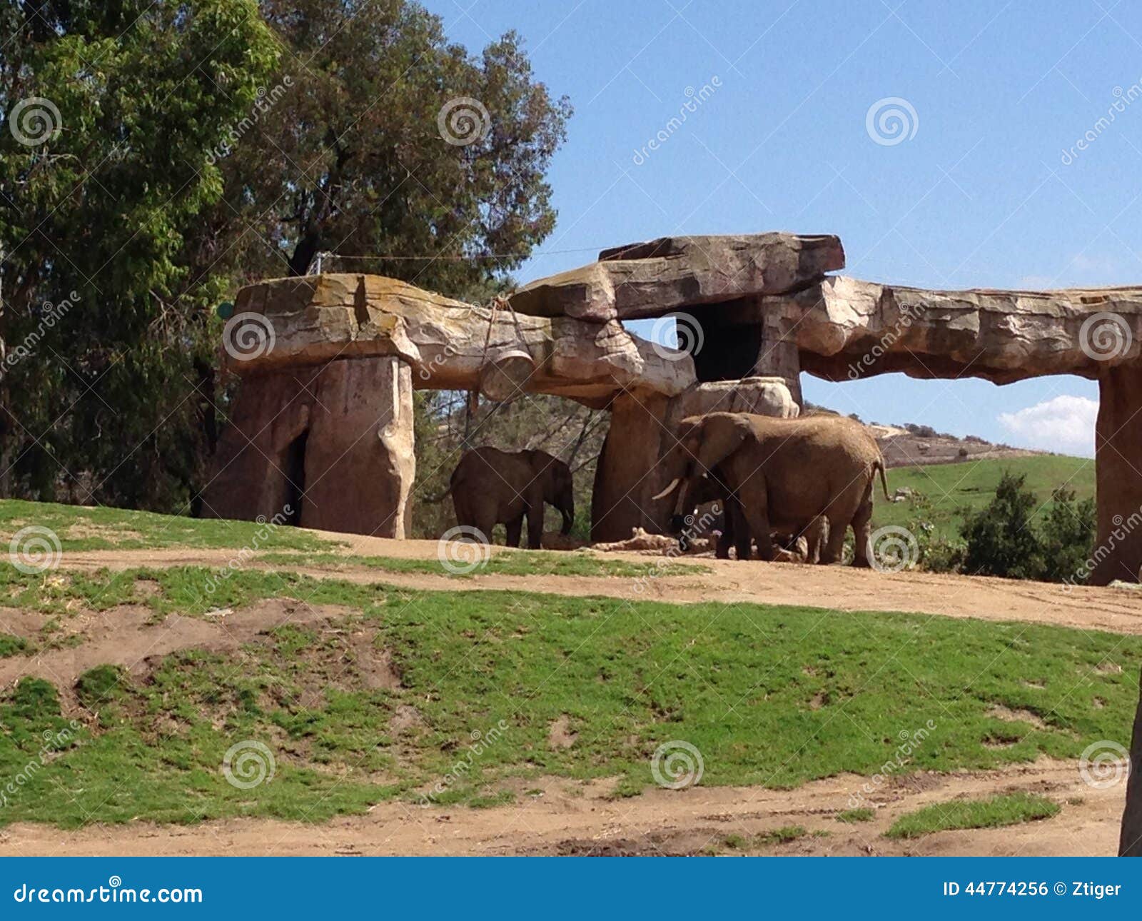 Elephants Under Rock Formation Stock Photo - Image of leaves, elephants ...