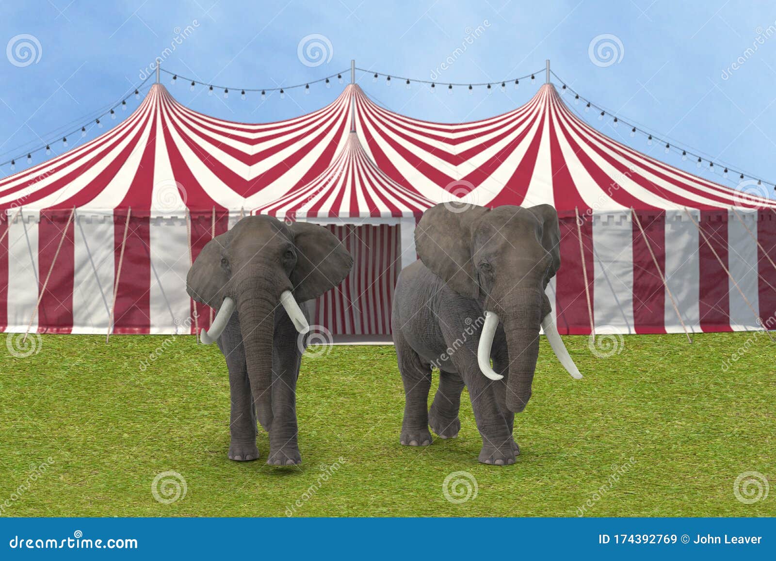Elephants Walking Outside a Circus Tent Stock Image - Image of mammals ...
