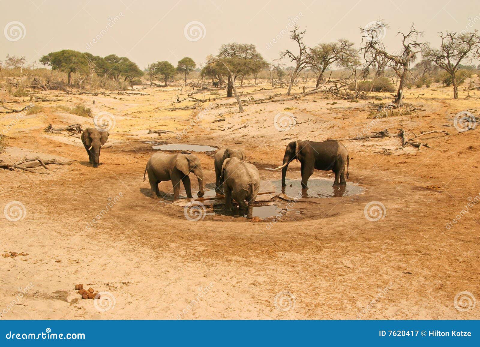 Water Hole In Acoma Pueblo, New Mexico Stock Photography ...