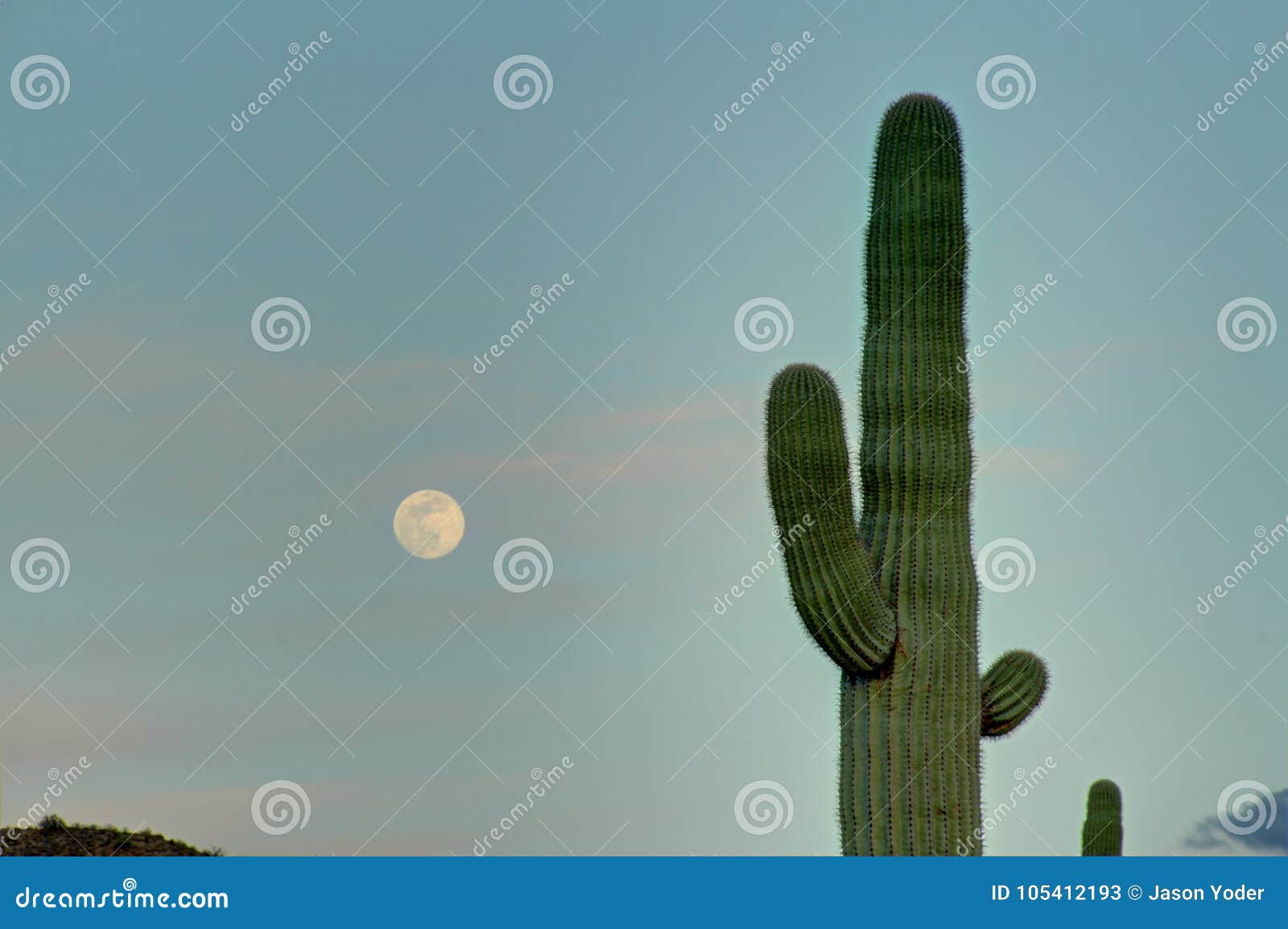 Elevação Da Lua Sobre O Deserto De Sonoran Imagem de Stock - Imagem de ...
