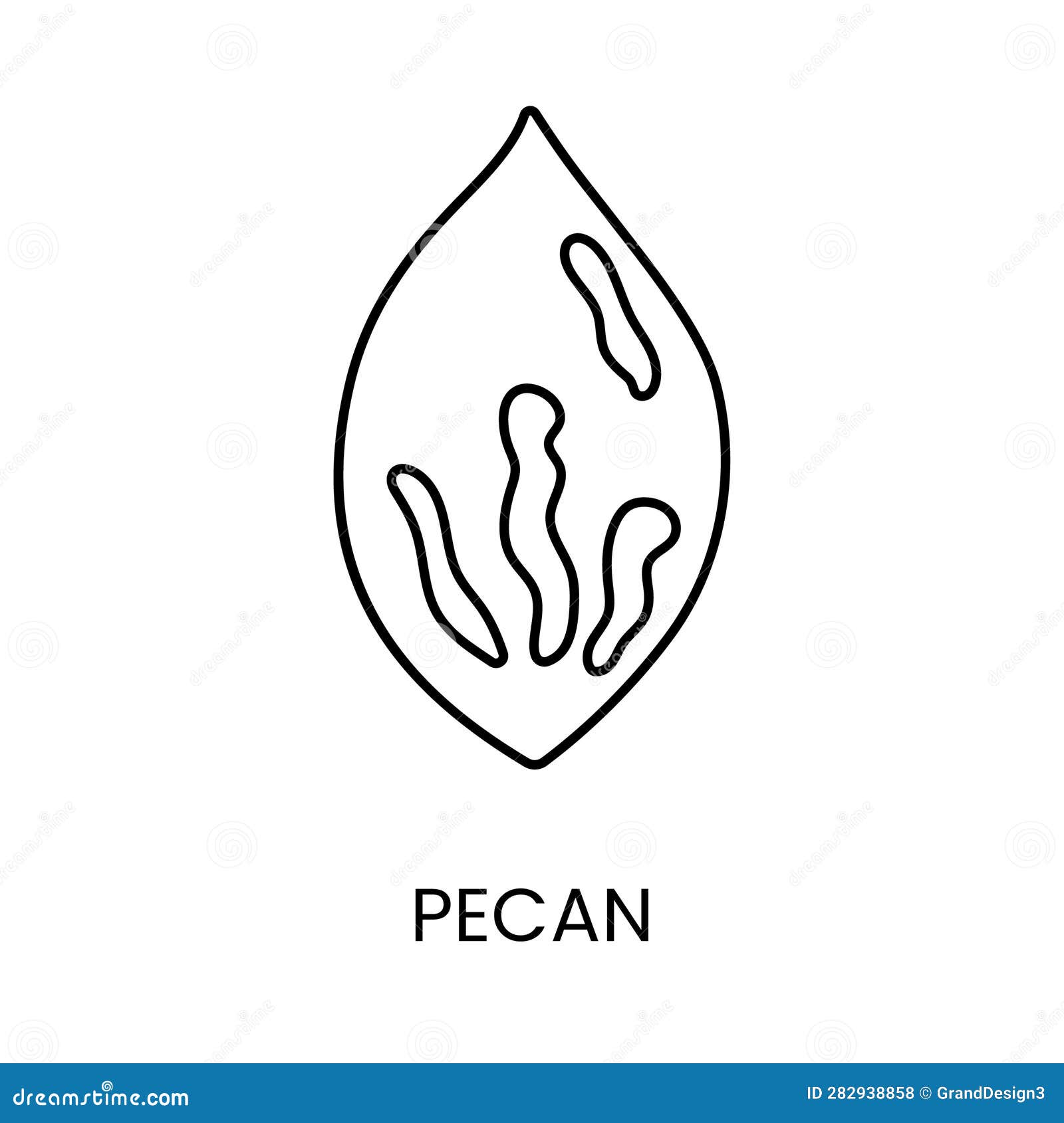 Elevate Your Designs with the Pecan Line Vector Icon, a Visually ... Elevate Your Designs with the Pecan Line Vector Icon, a Visually ...