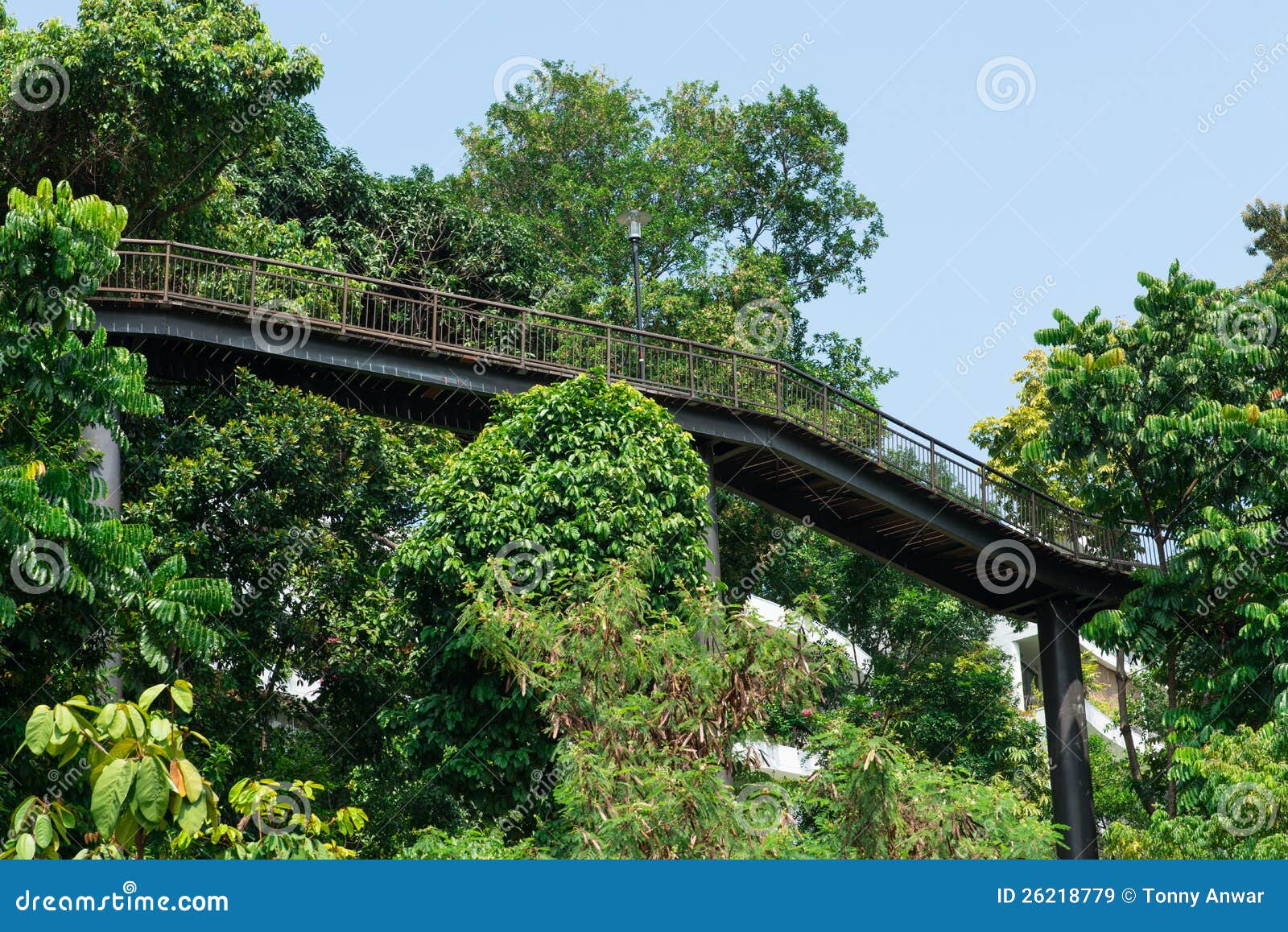 Elevated Boardwalk stock image. Image of elevated, outdoor - 26218779