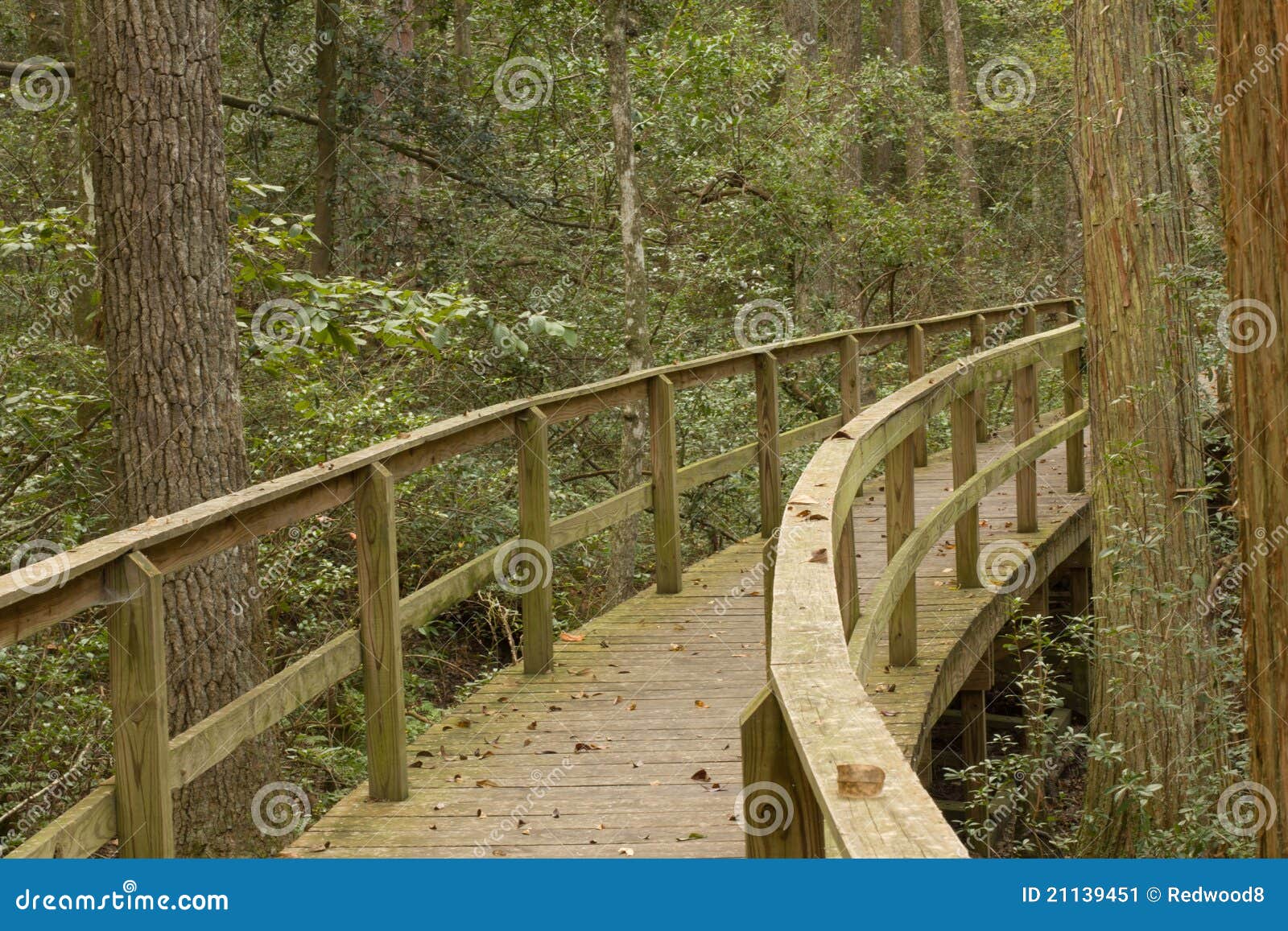 Elevated Boardwalk In Public Recreation Area, Walking Or Biking Path ...