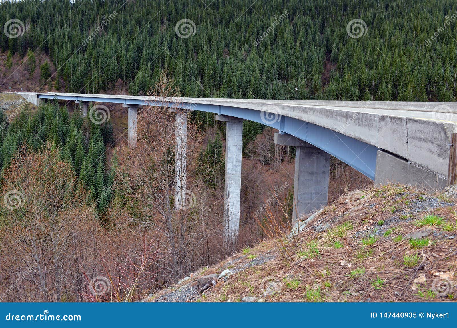 Elevated Bridge in the Mountains through the Forest in the Pacific ...