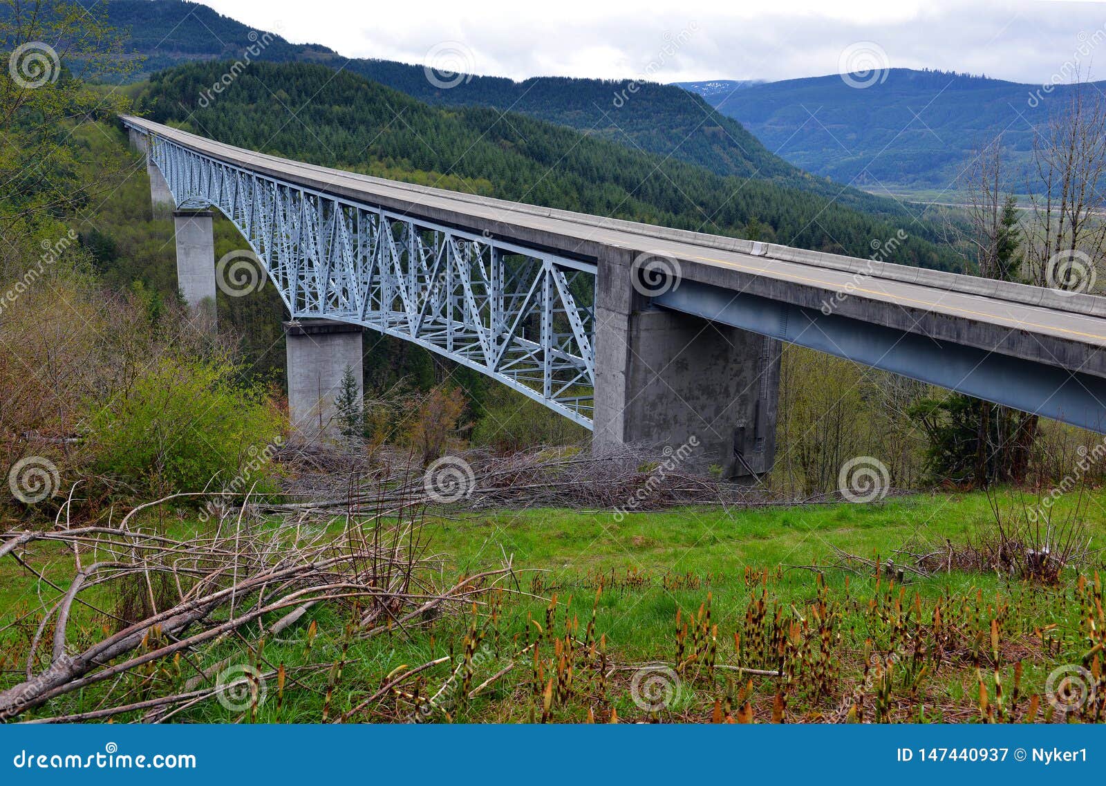 Elevated Bridge in the Mountains through the Forest in the Pacific ...