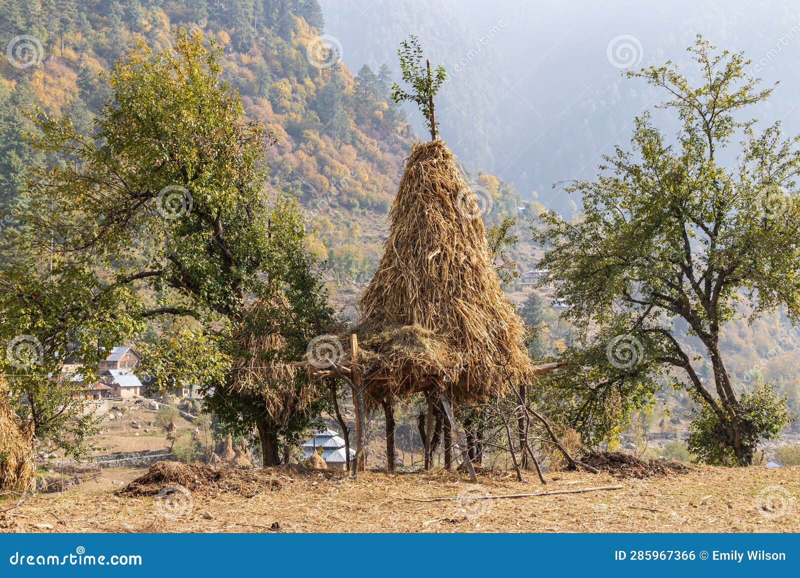 An Elevated Hay Stack in a Village in Jammu and Kashmir Stock Photo ...