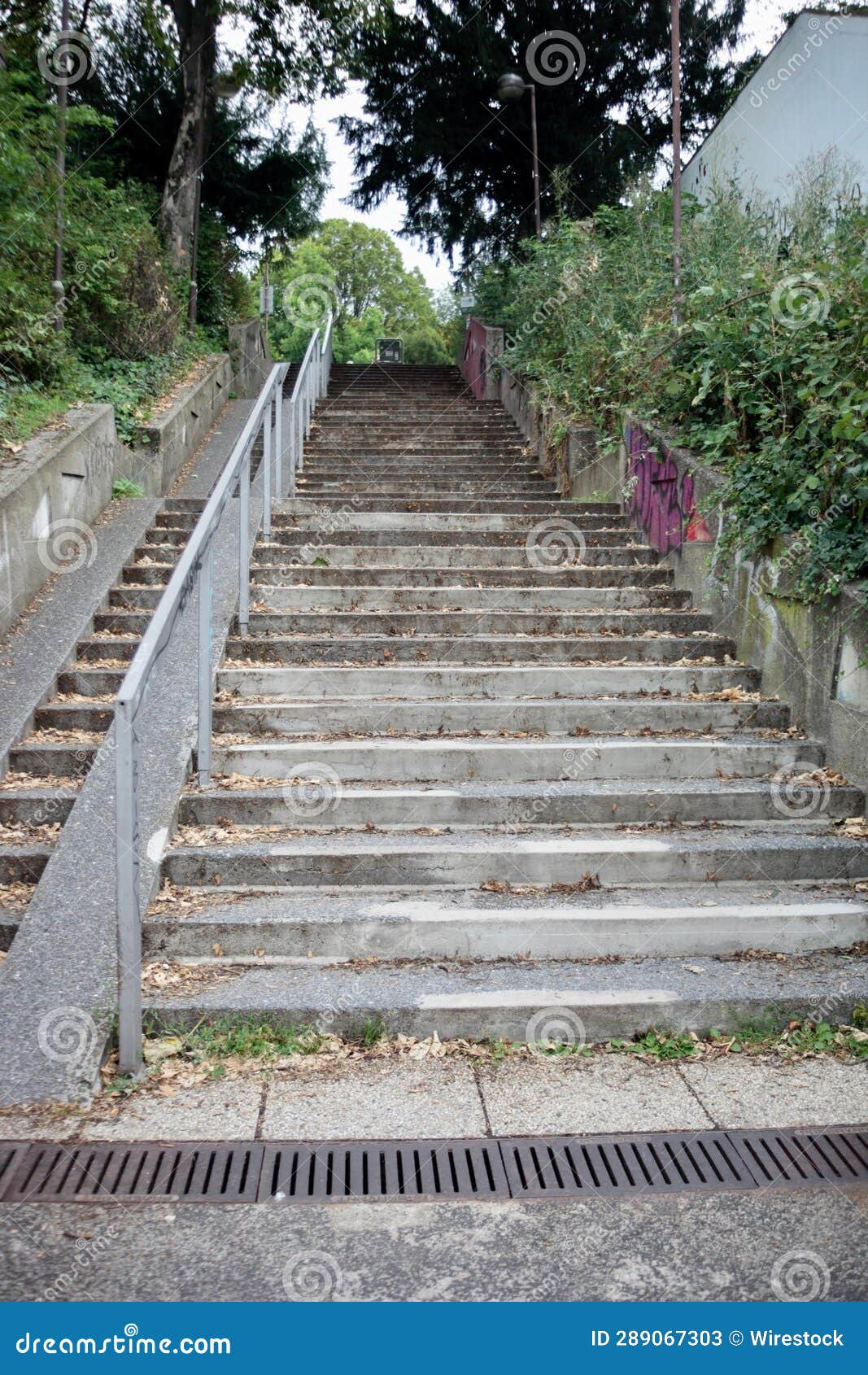Elevated Pathway Consisting of a Series of Shallow Steps Ascending a ...