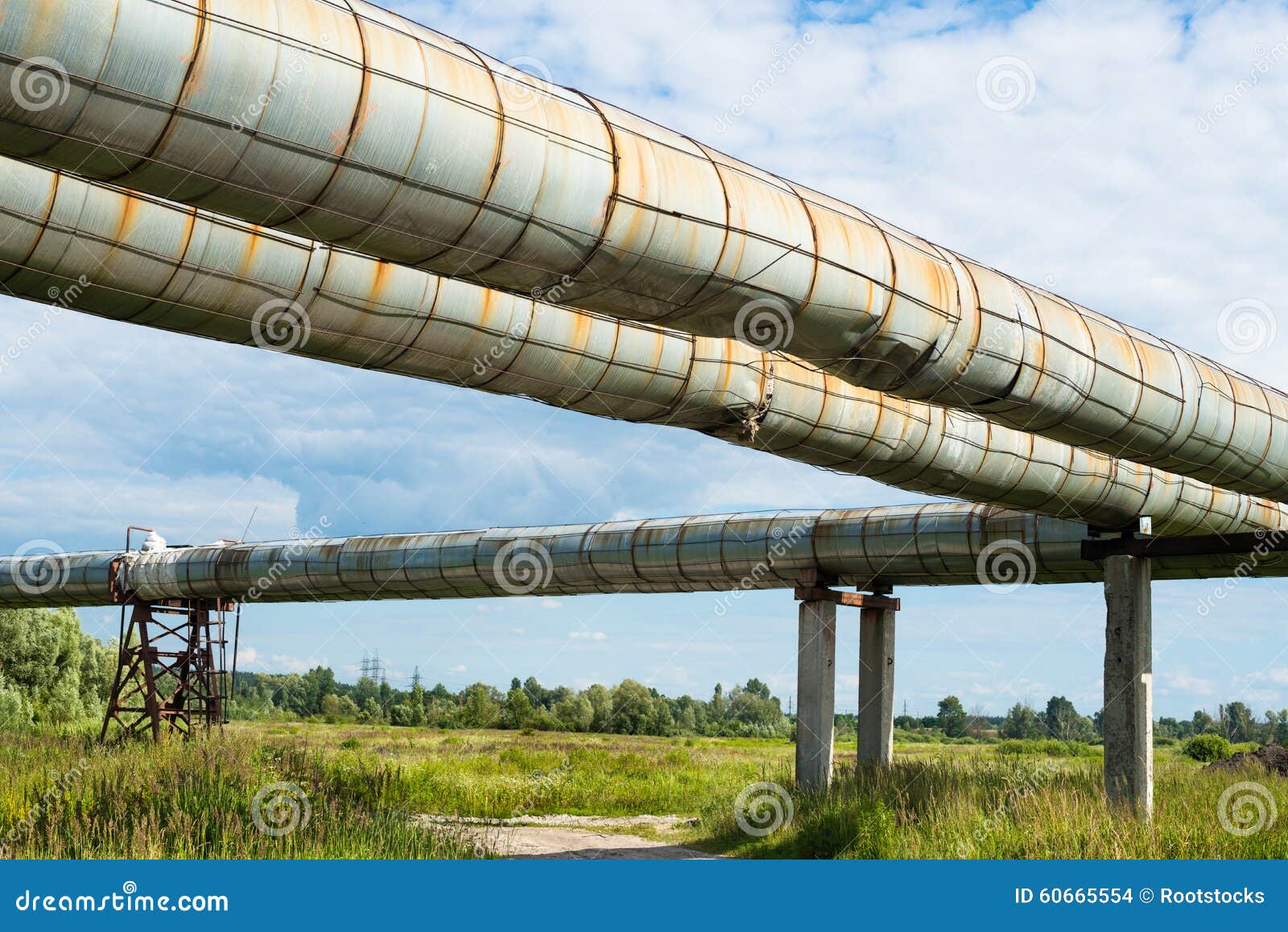 Elevated Section of the Pipelines Stock Photo - Image of country, heat ...
