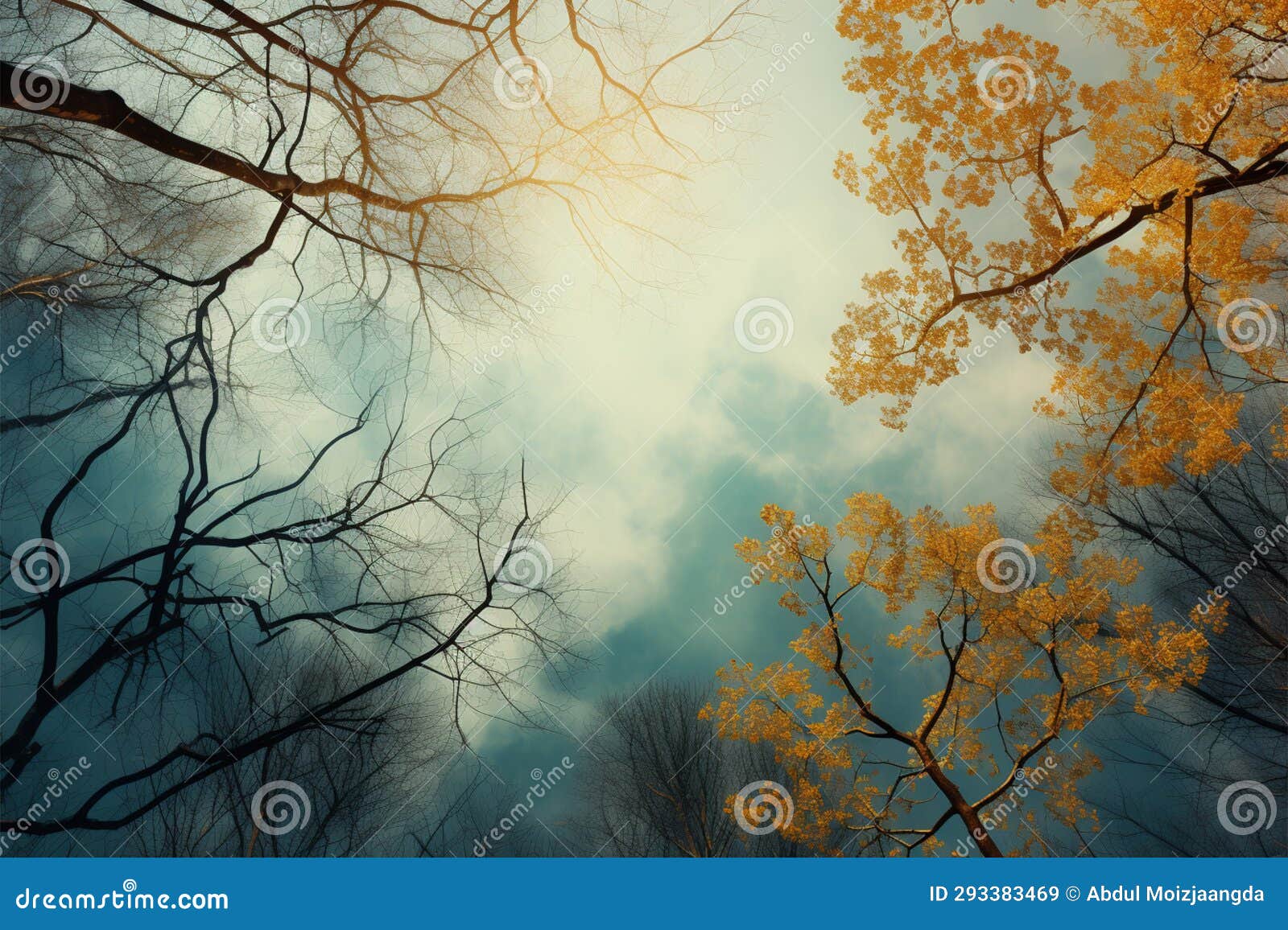 Elevated View Treetops Abstract Art Forms Natures Enchanting Background ...