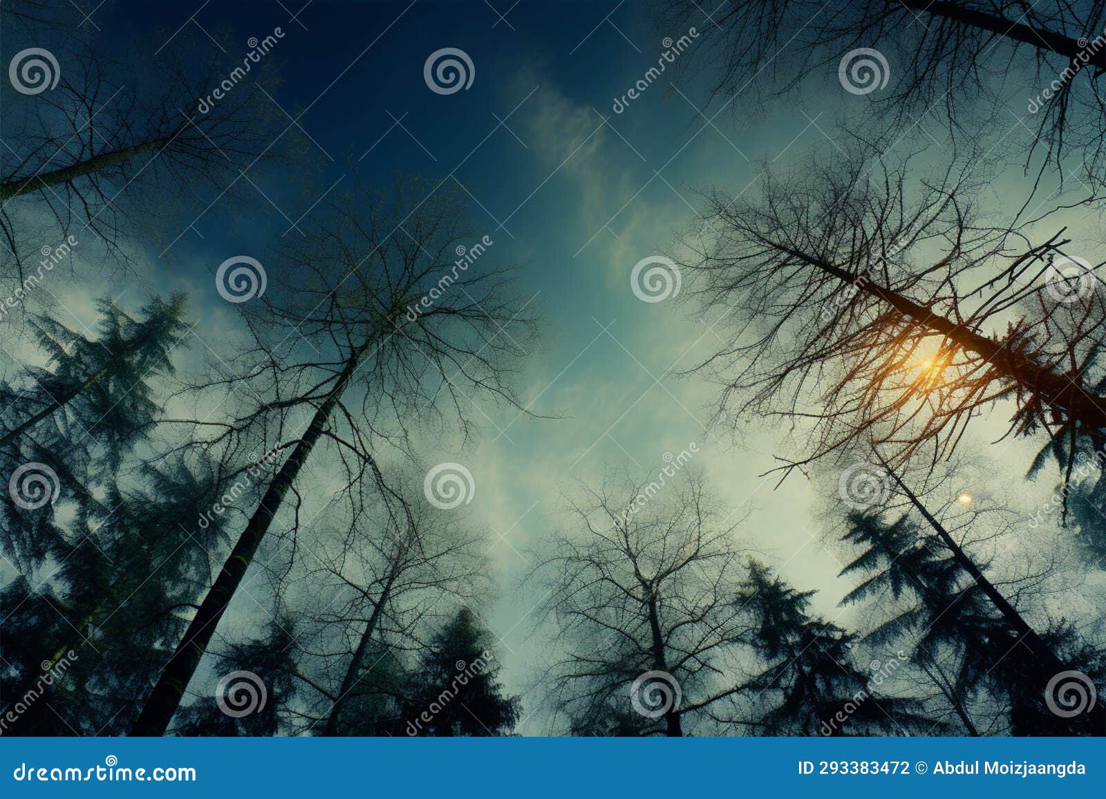 Elevated View Treetops Abstract Art Forms Natures Enchanting Background ...