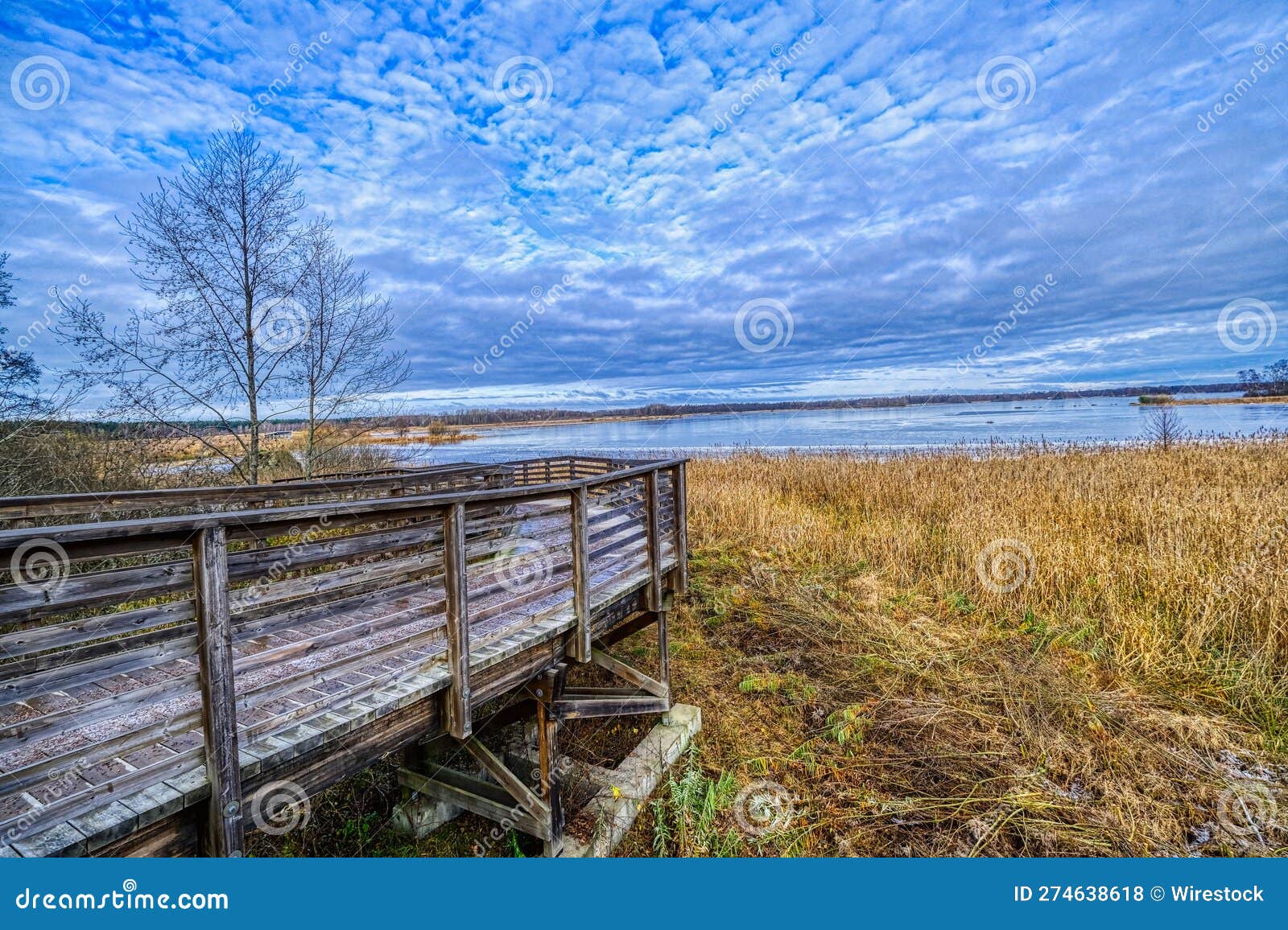 Elevated Wooden Dock Extending Over a Tranquil Marsh, with a Serene ...