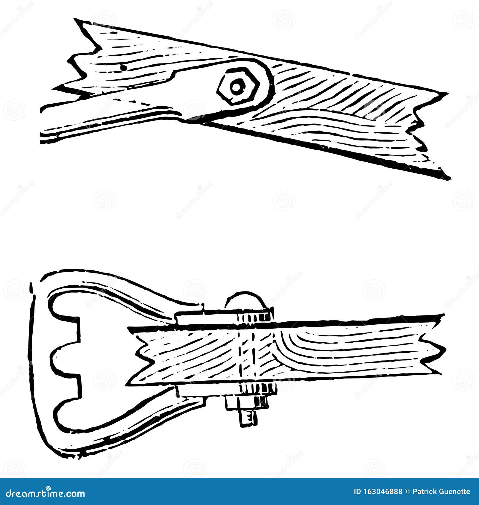 Elevation and Plan of the Ratchet Ring Regulators Which Attaches the ...