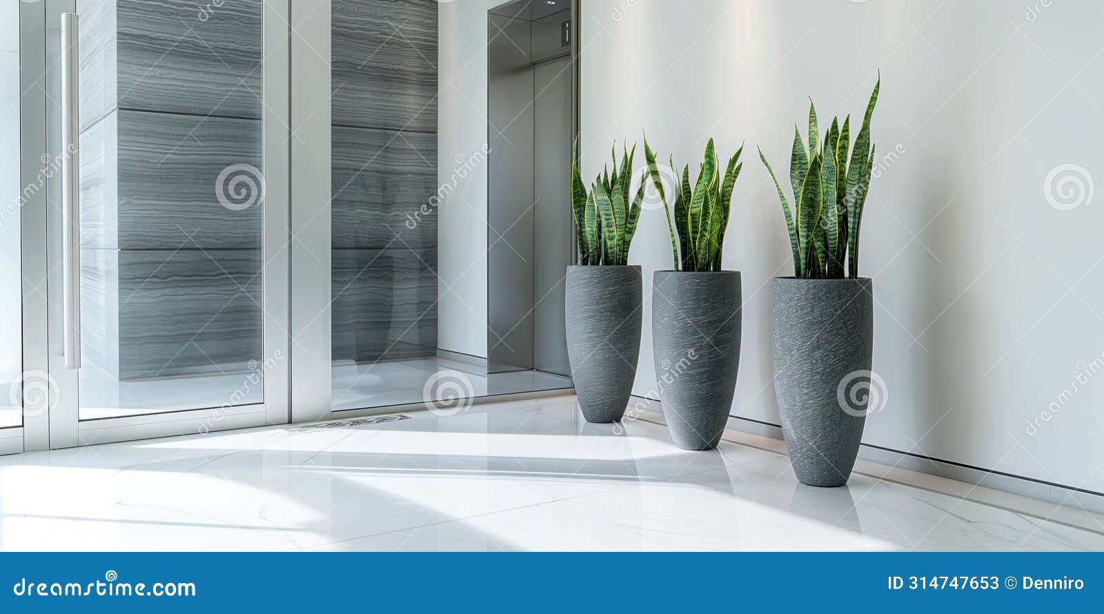 Modern Office Hallway with Potted Snake Plants Stock Illustration ...