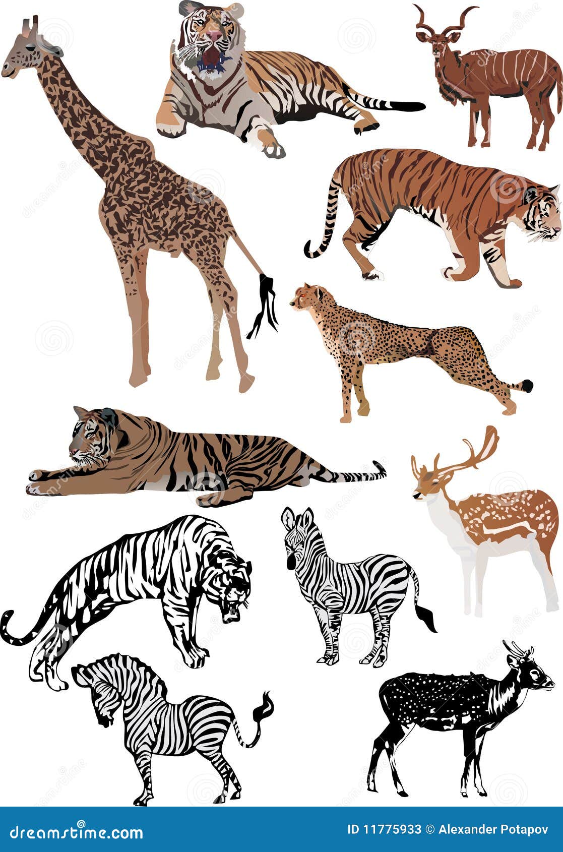 Eleven Color Animals Set Stock Illustrations – 4 Eleven Color Animals ...