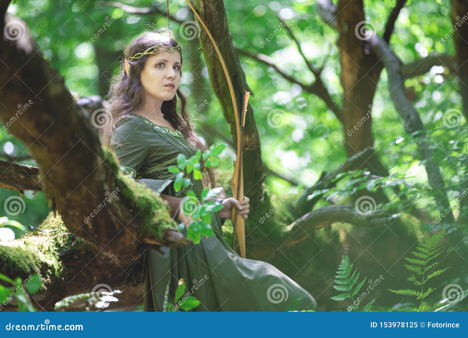 Elf archer with a bow stock image. Image of beauty, martial - 153978125