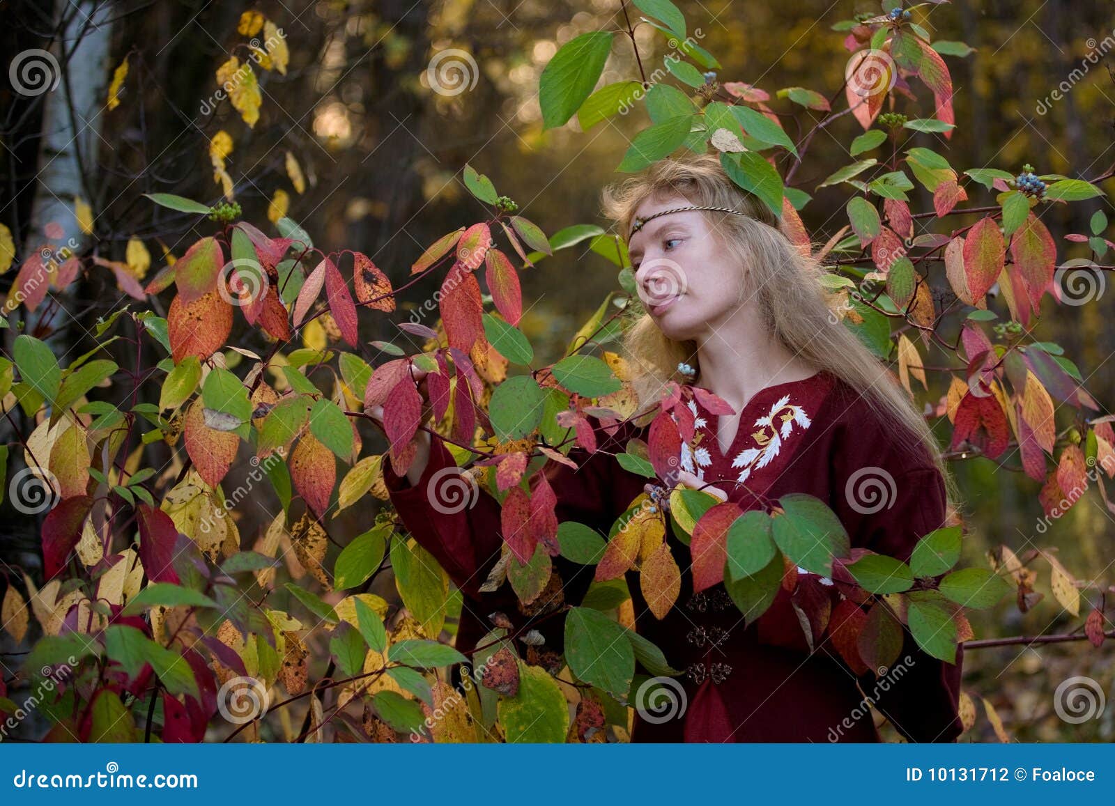 The Elf in the Autumn Forest Stock Photo - Image of fantasy, myth: 10131712