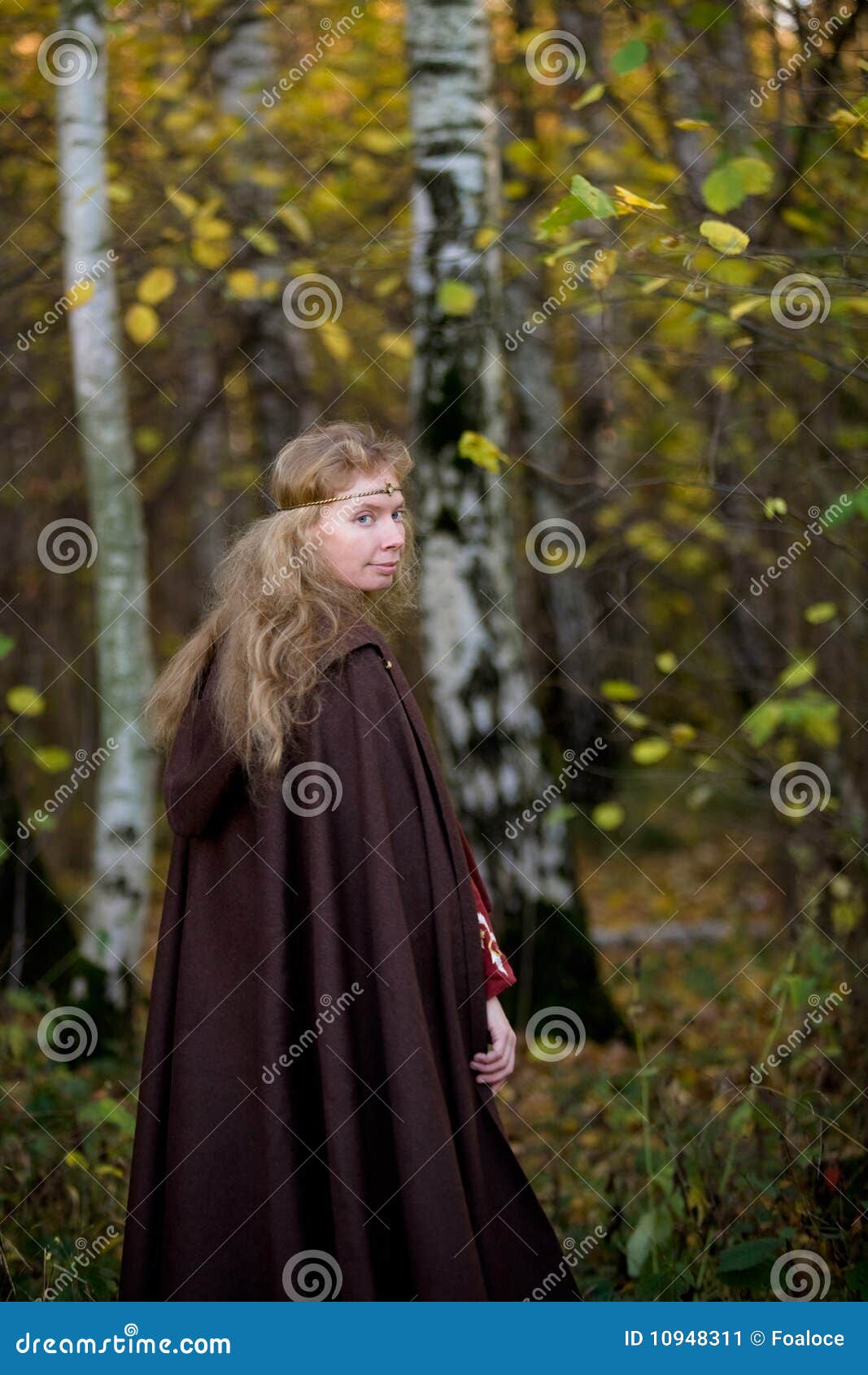The Elf in the Autumn Forest Stock Image - Image of brown, female: 10948311