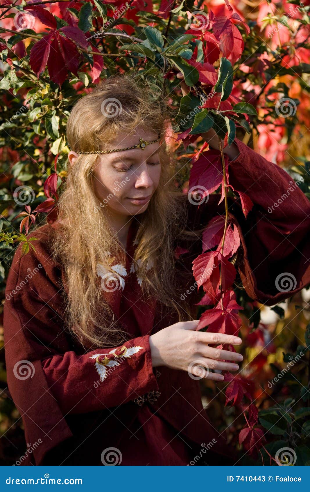 The Elf in the Autumn Forest Stock Image - Image of lothlorien, forest ...