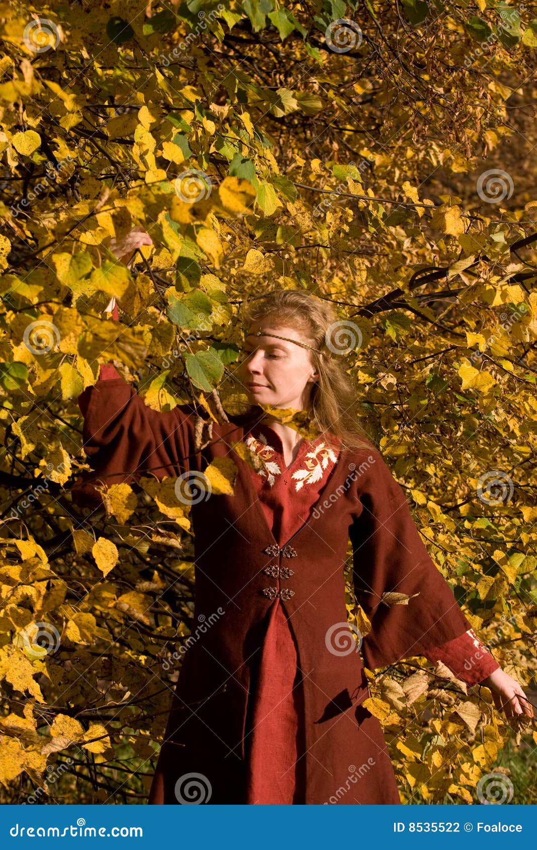 The Elf in the Autumn Forest Stock Photo - Image of dream, beautiful ...