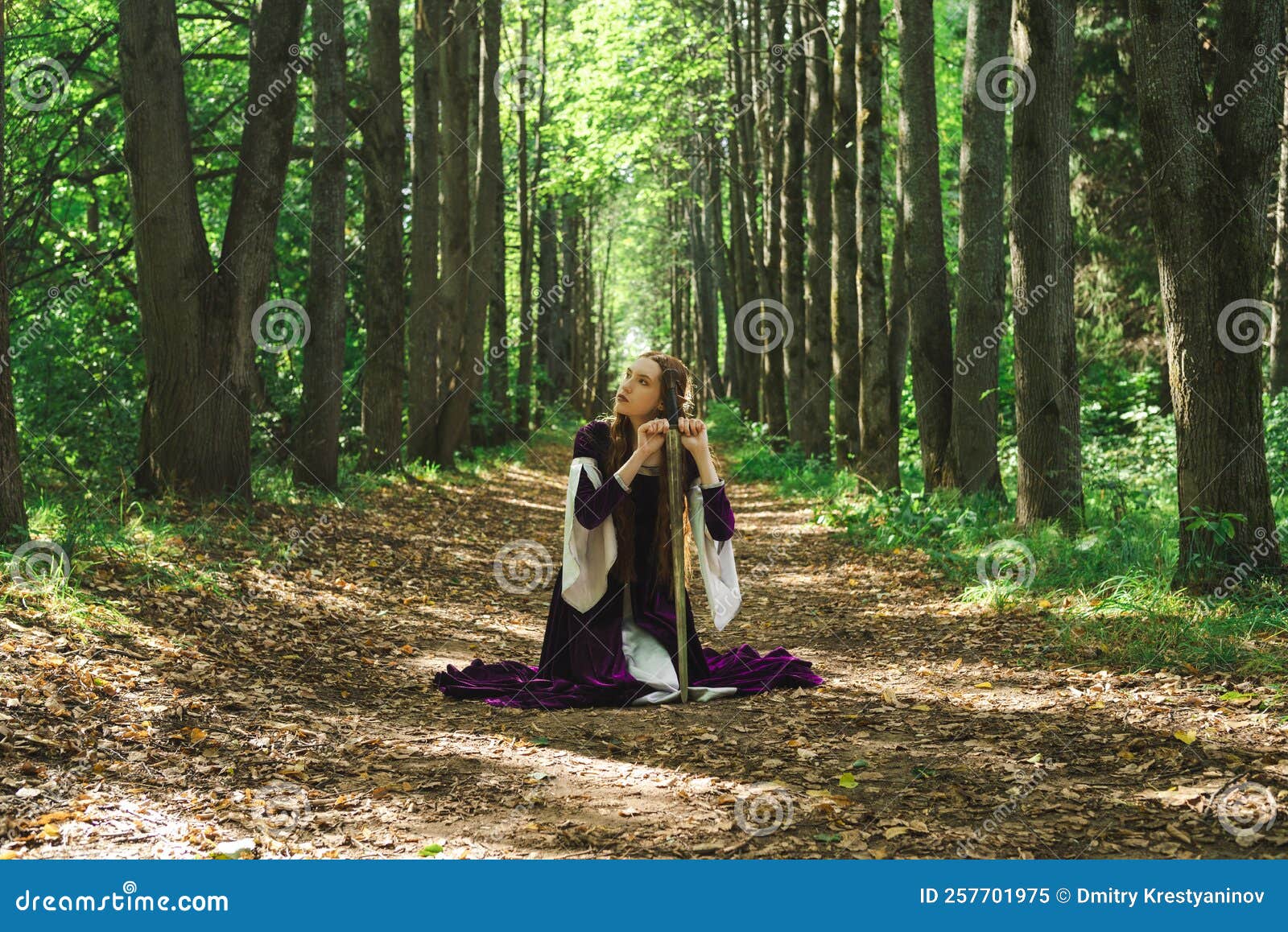 Elf Maiden Imagem De Stock Imagem De Princesa Menina 257701975
