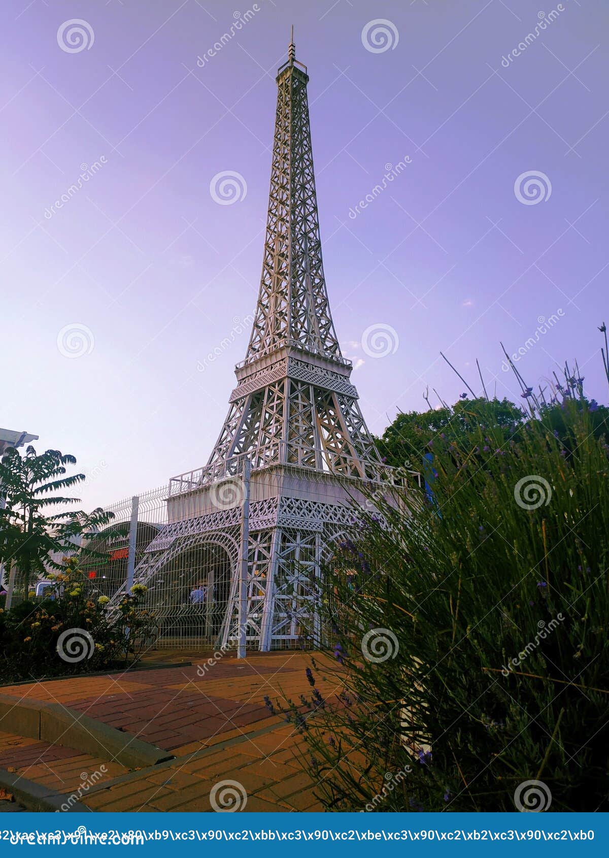 Elf tower stock photo. Image of tree, spire, cathedral - 264091778