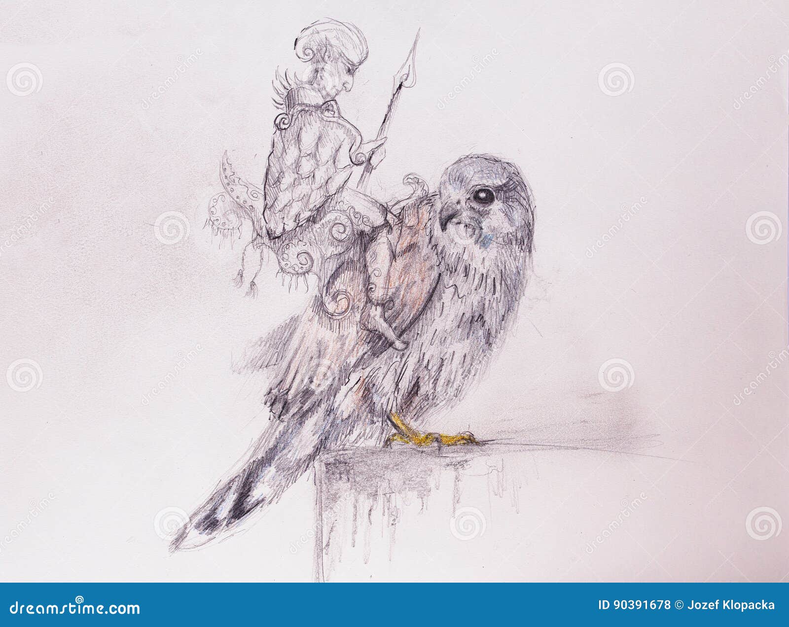 Elf Warrior On Hawk. Pencil Drawing On Old Paper. Color Effect. Royalty ...