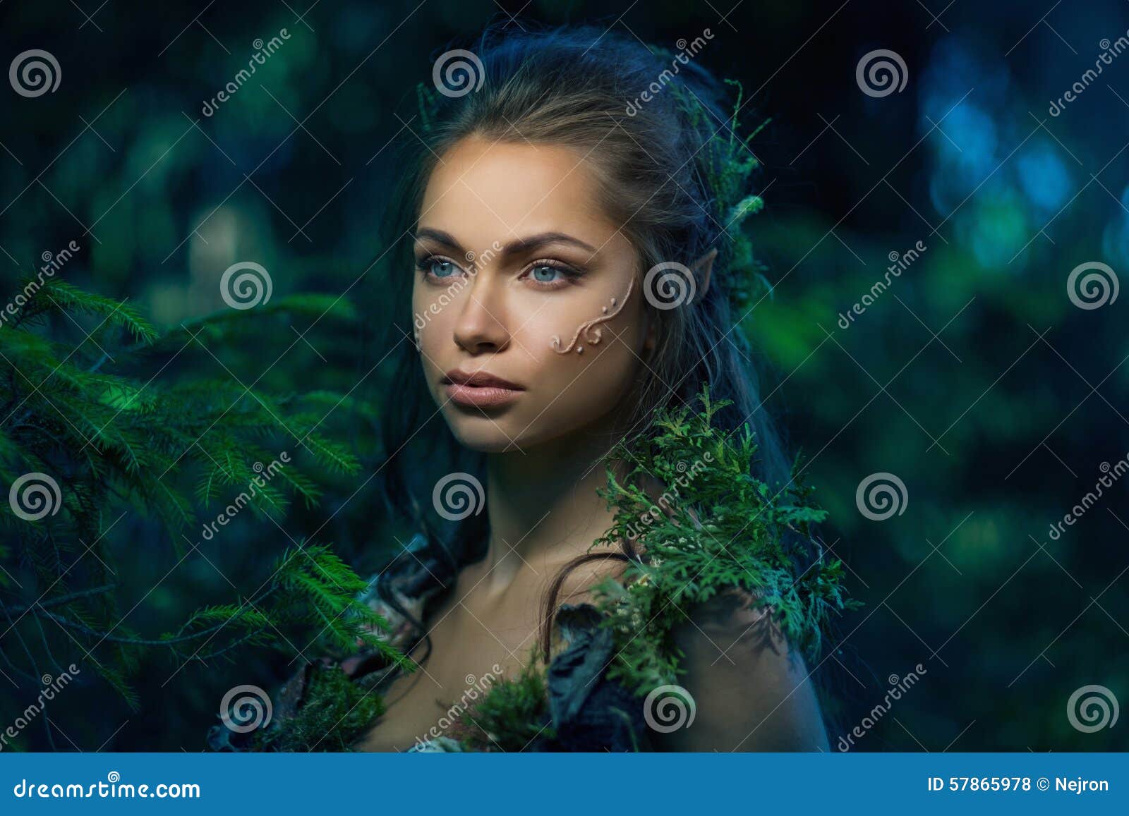 Elf woman in a forest stock photo. Image of fairy, myth - 57865978